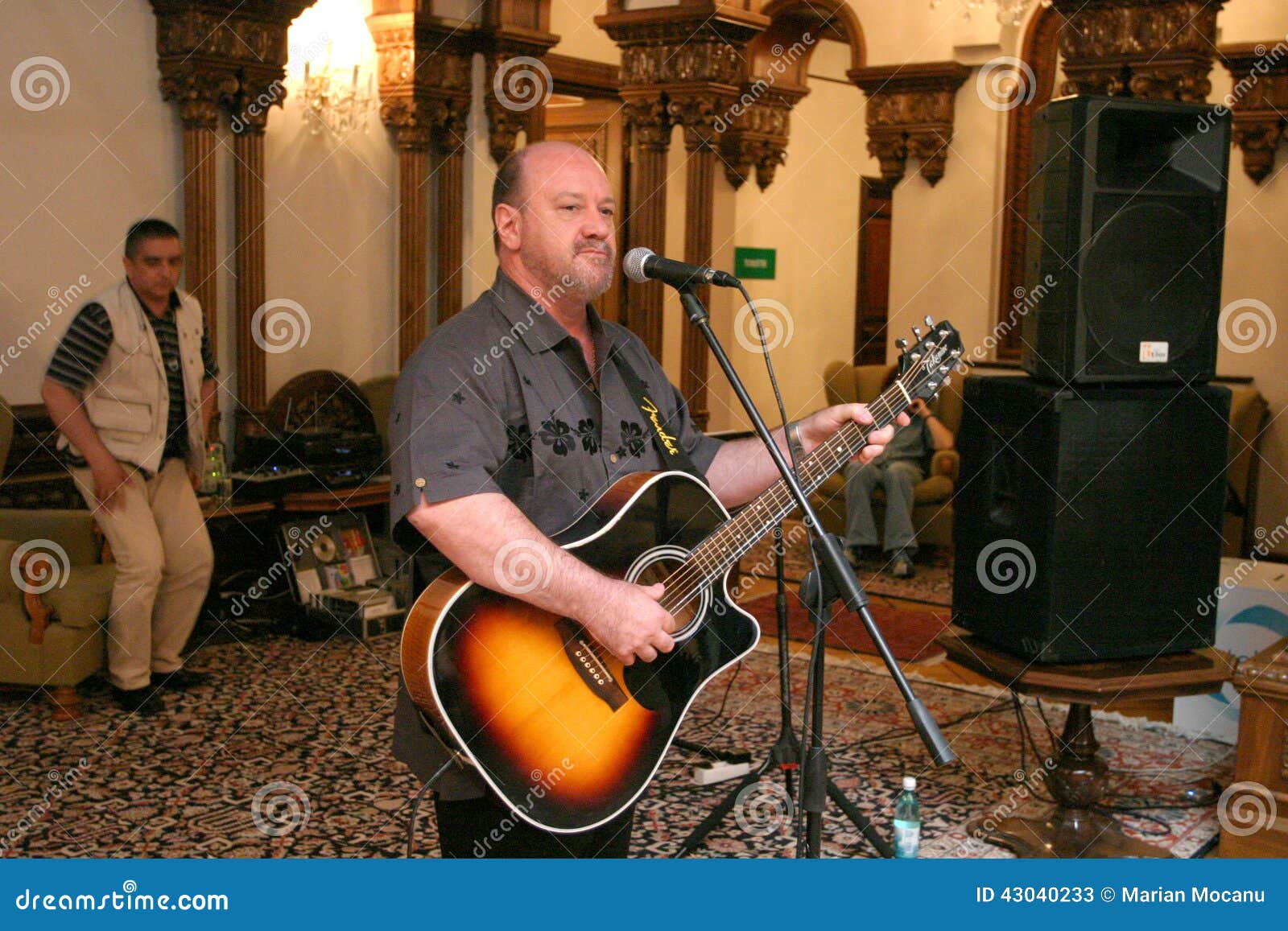 Nicu Alifantis editorial stock photo. Image of acoustic - 43040233