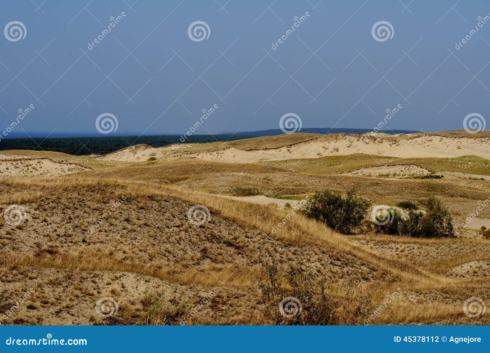 Nida stock photo. Image of tourist, sunrise, landscape - 45378112
