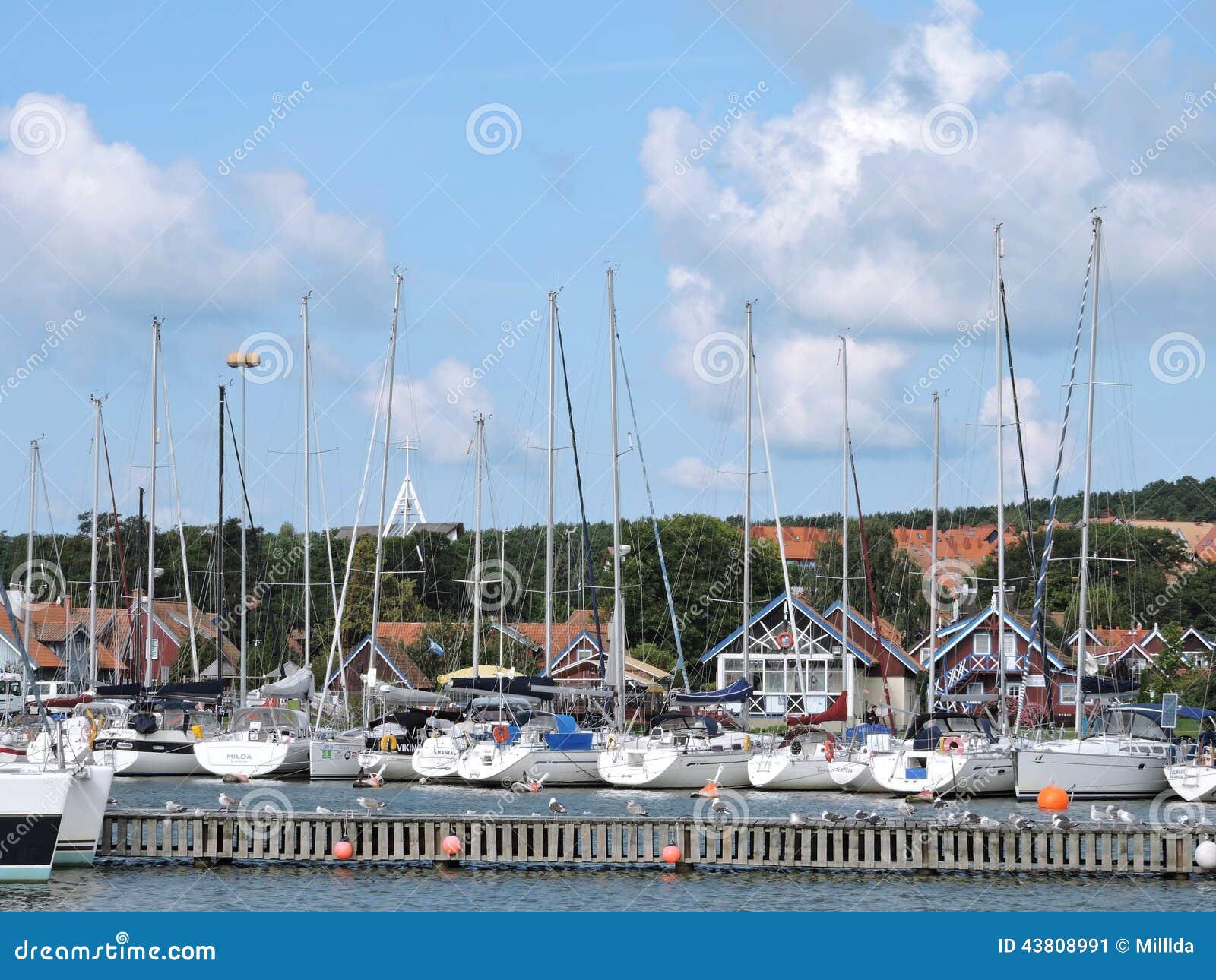 Nida City Marina , Lithuania Editorial Photo - Image of seagull, active ...