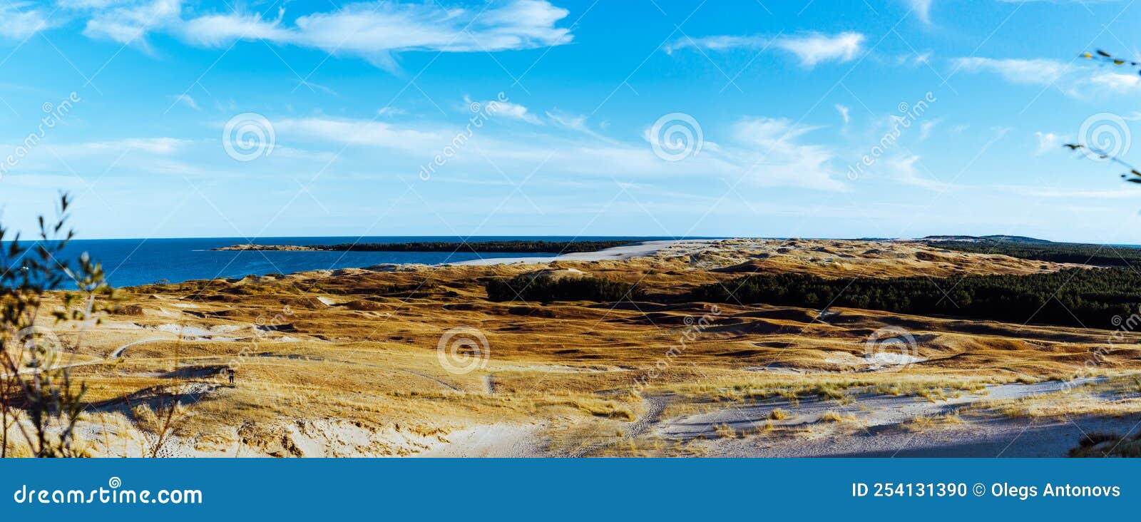 Nida dune desert stock photo. Image of rock, jodkrante - 254131390