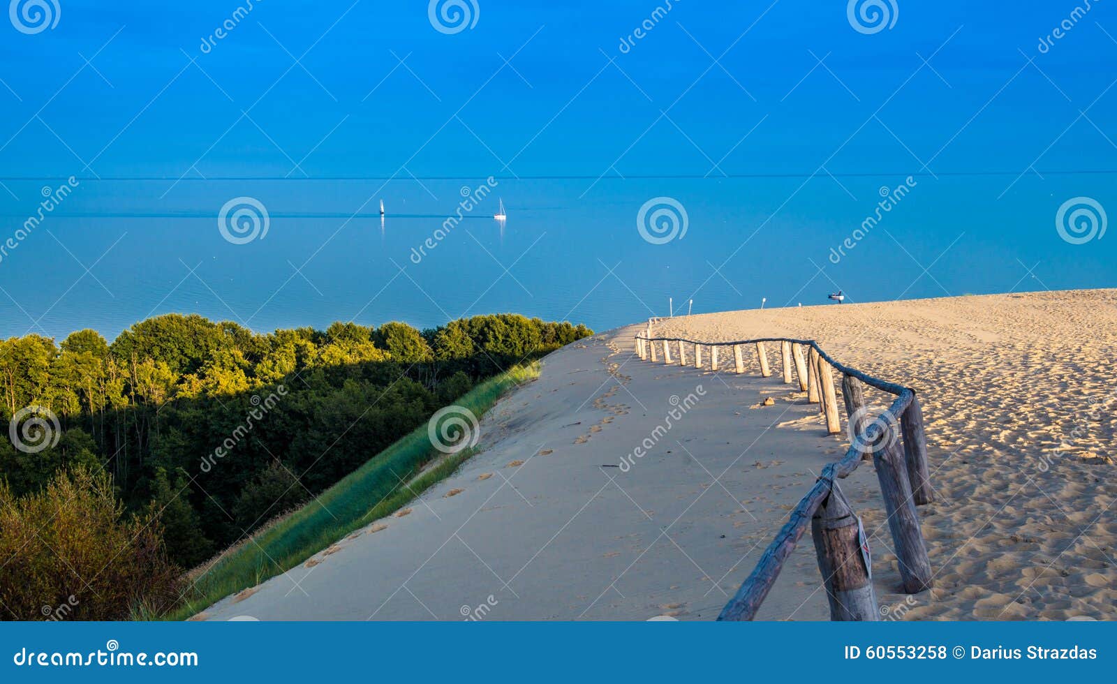 Nida, Lithuania stock photo. Image of sailboat, forest - 60553258