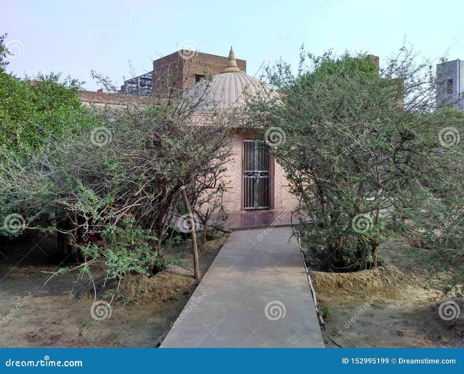 Nidhivan stock image. Image of vrindavanthere, lost - 152995199