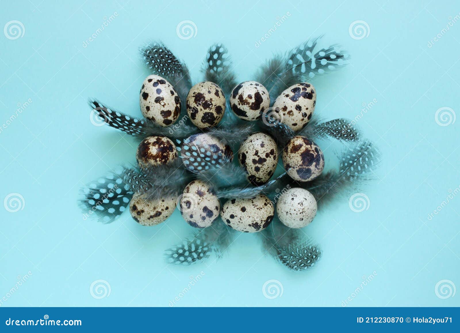 Nido de codornices foto de archivo. Imagen de azul, color - 212230870