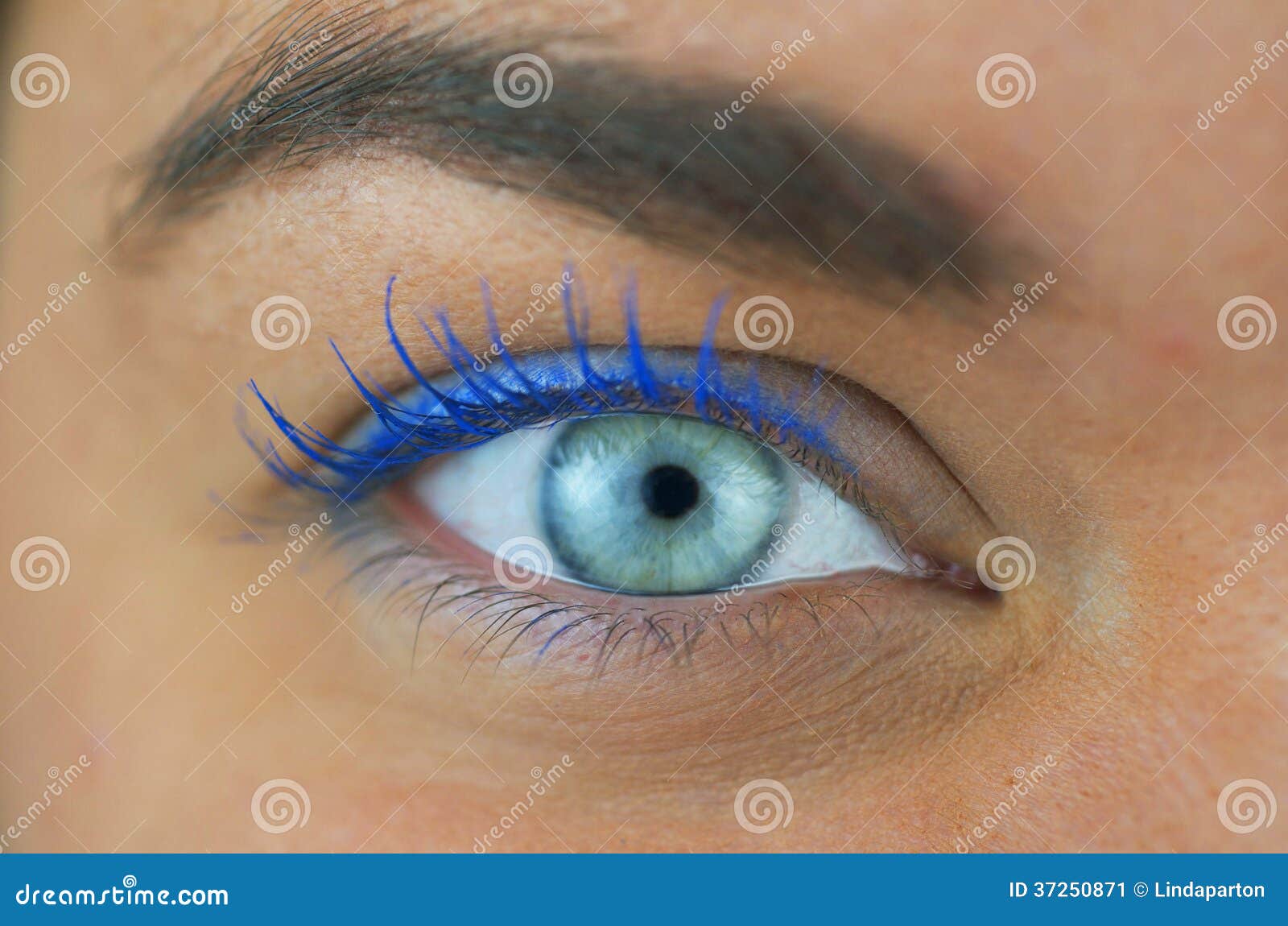 Niebieskie Oko obraz stock. Obraz złożonej z uroczy, doskonały - 37250871