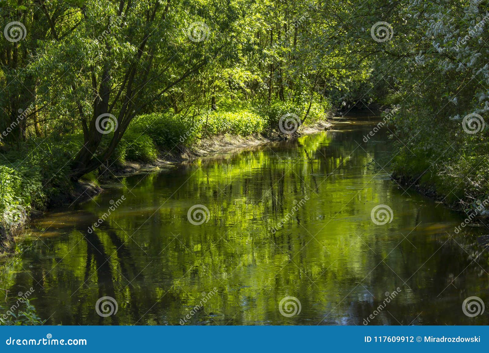 Niers River, Geldern, Germany Stock Photo - Image of travel, rhine ...