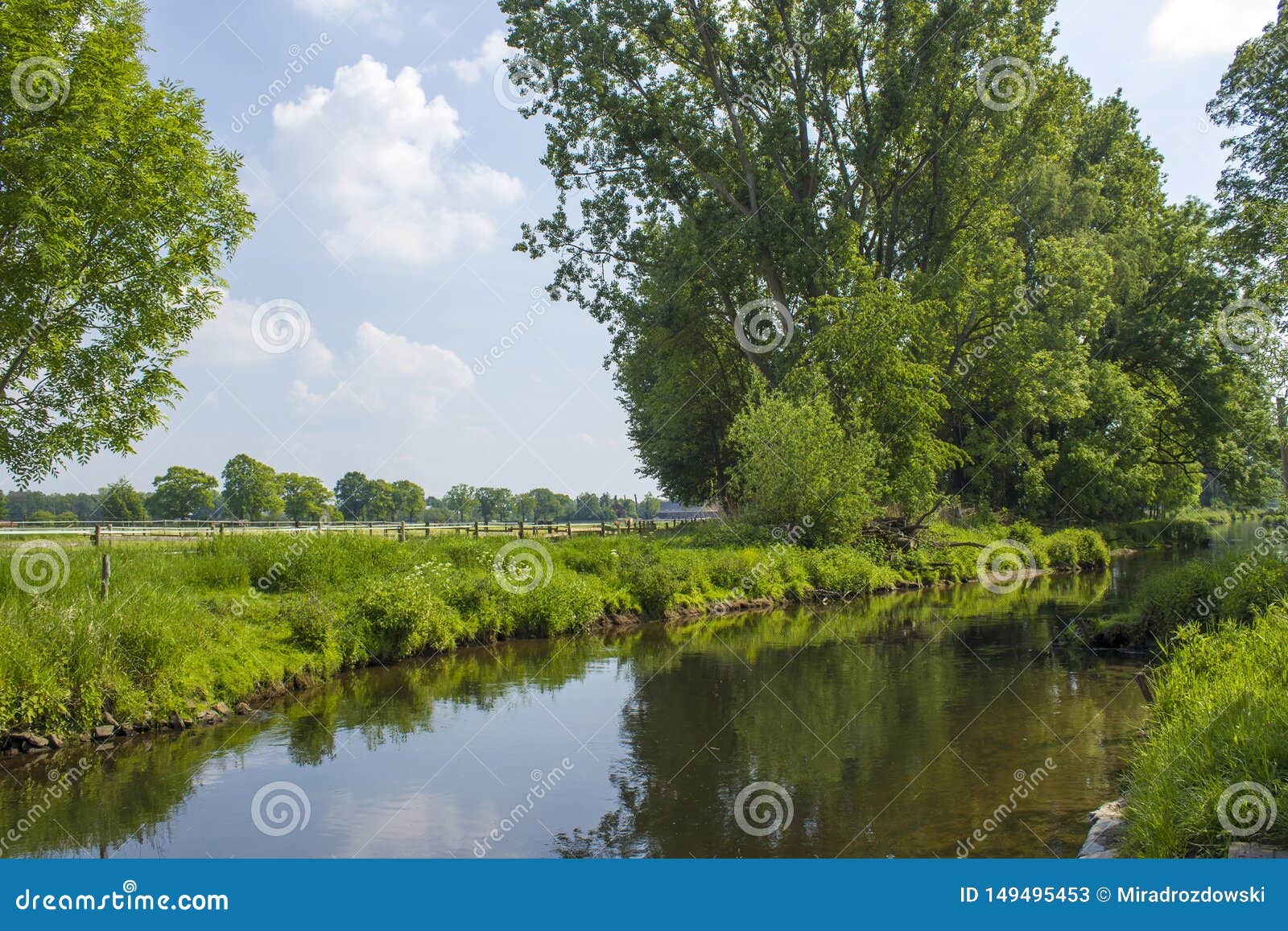 Niers River, Geldern, Germany Stock Image - Image of forest, rhineland ...
