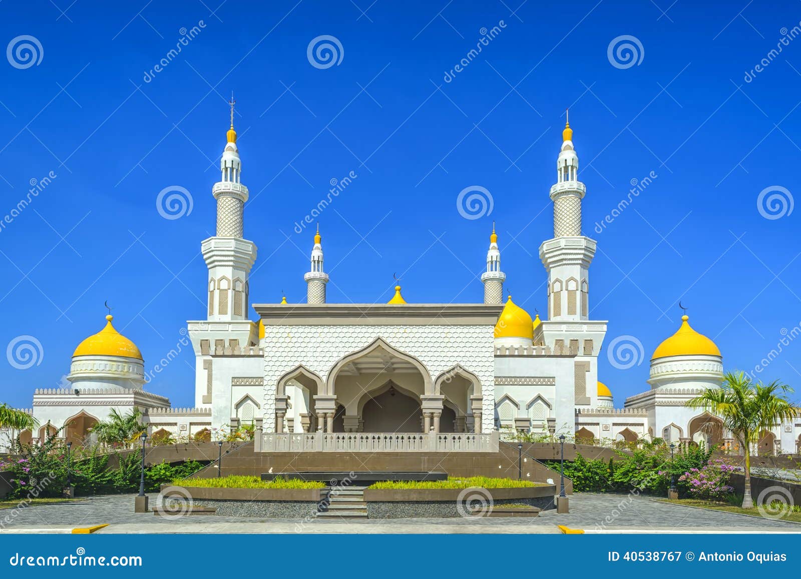 Nieuwe Grote Moskee stock afbeelding. Image of geloof - 40538767