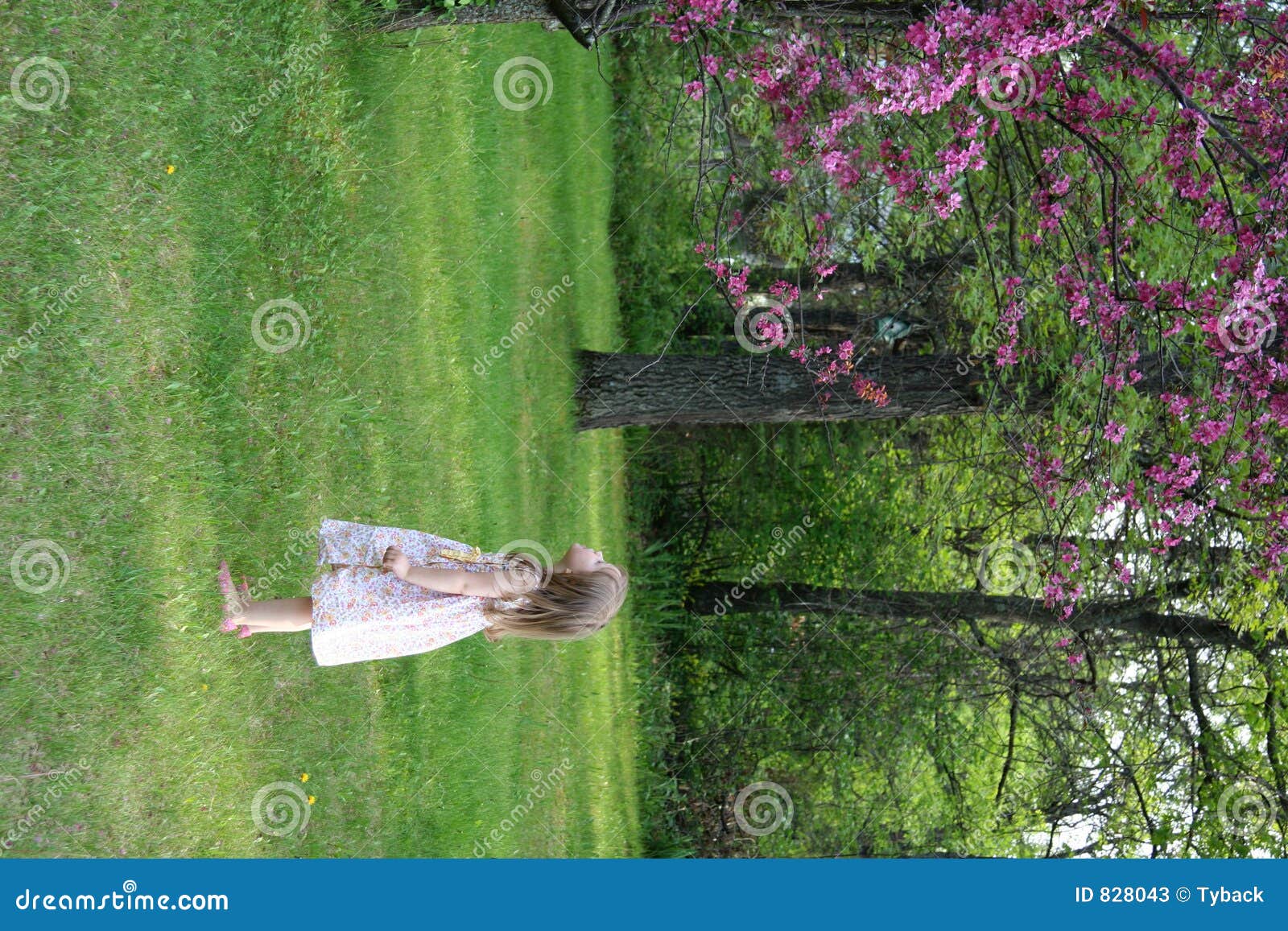 Nieuwsgierig kind stock afbeelding. Image of peuter, persoon - 828043