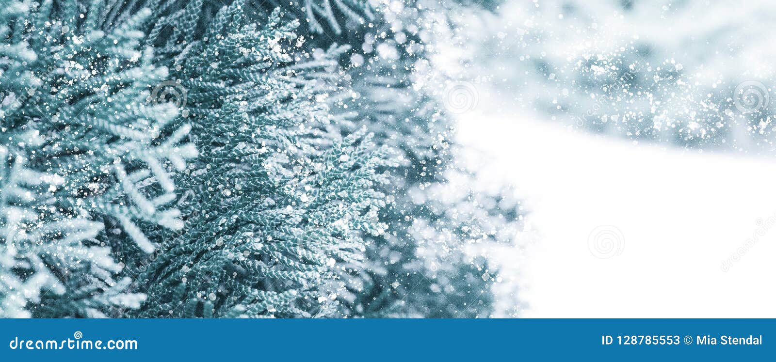 Nieve Background Picea En La Nieve Imagen de archivo - Imagen de ...