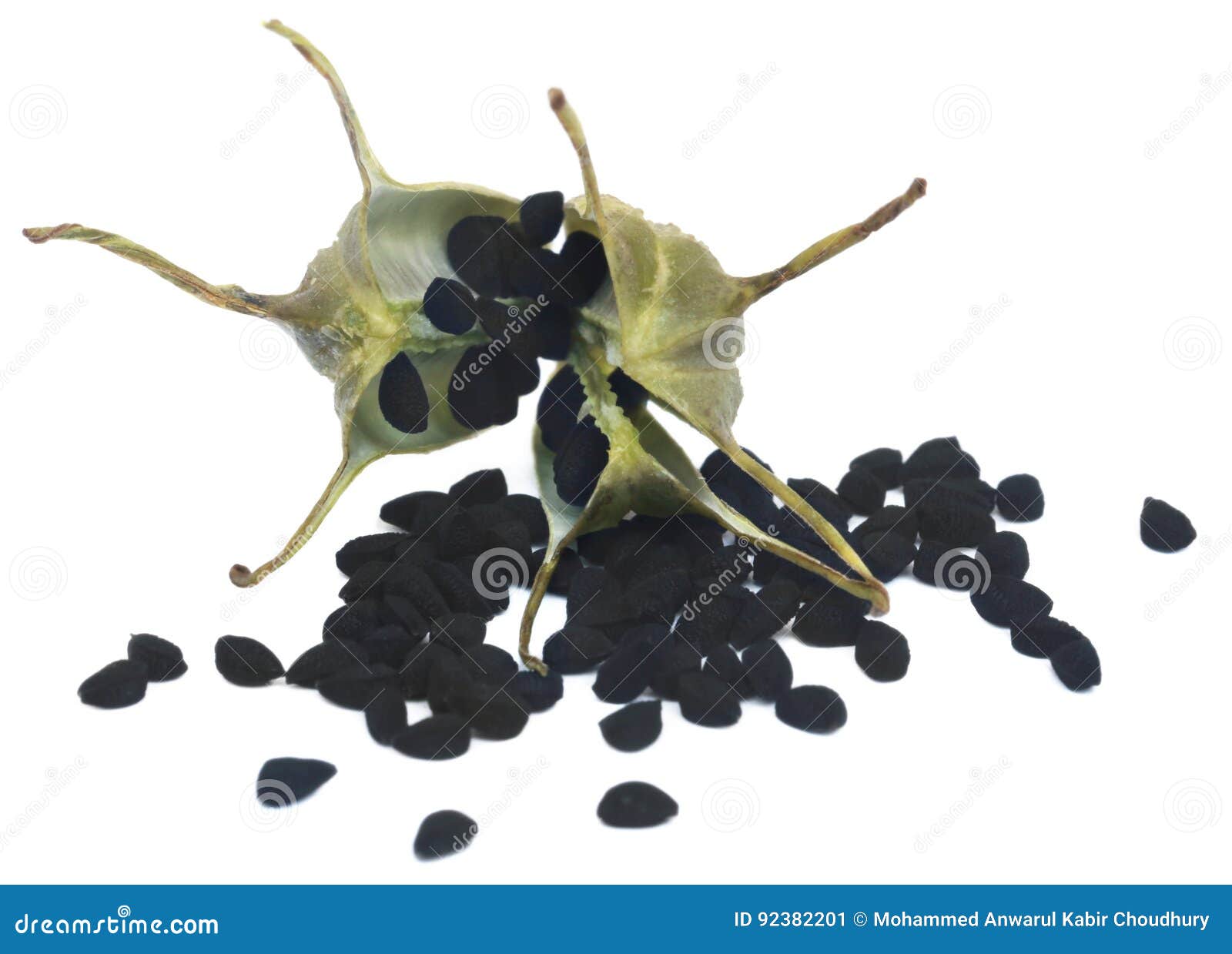 Nigella seeds from pod stock image. Image of food, grains - 92382201