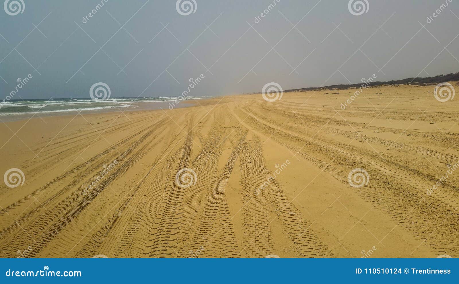 Nigeria in the Summer stock photo. Image of city, animals - 110510124