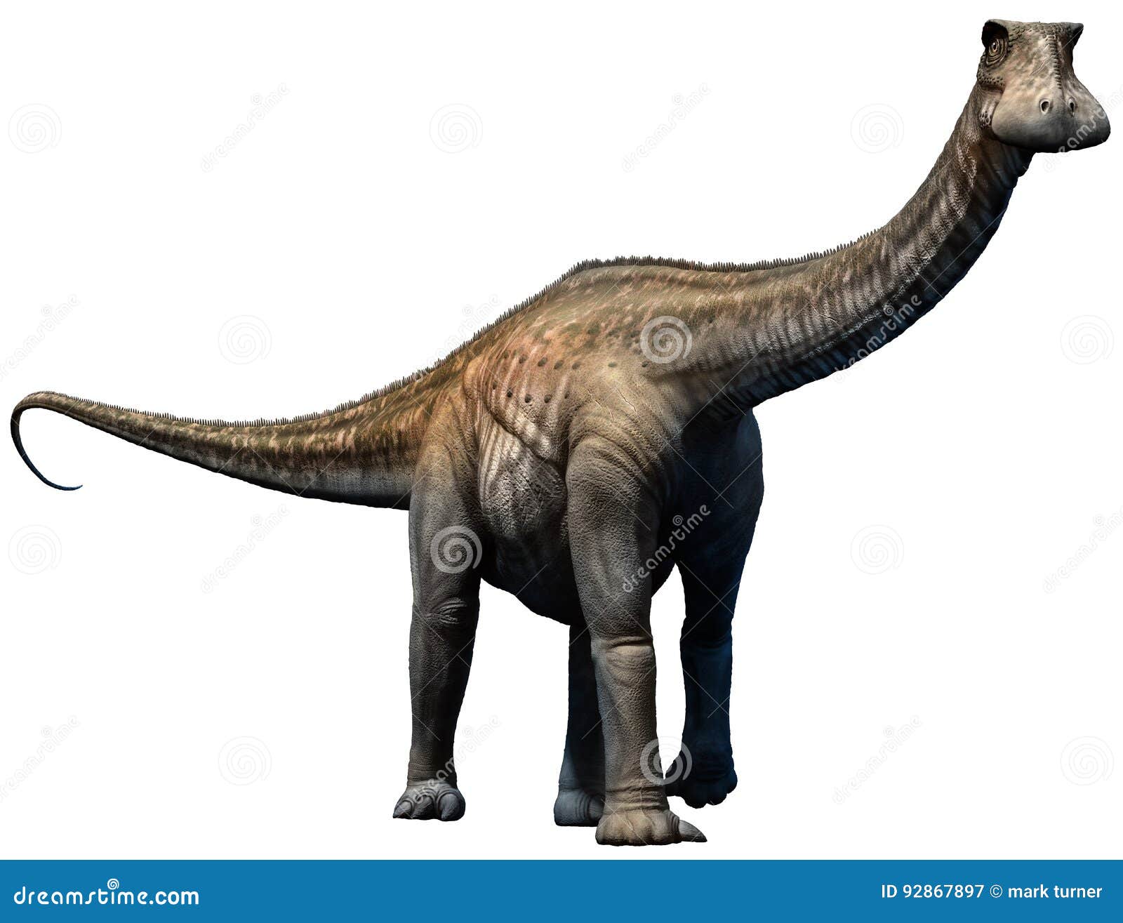 Nigersaurus stock illustration. Illustration of huge - 92867897