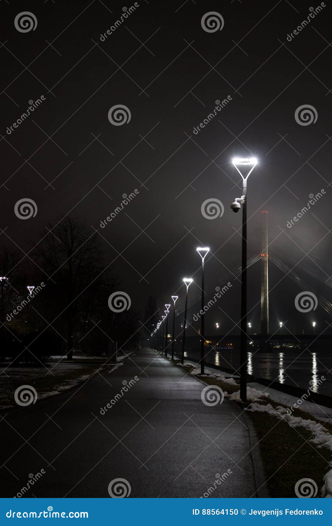 Night alley stock photo. Image of view, street, snow - 88564150