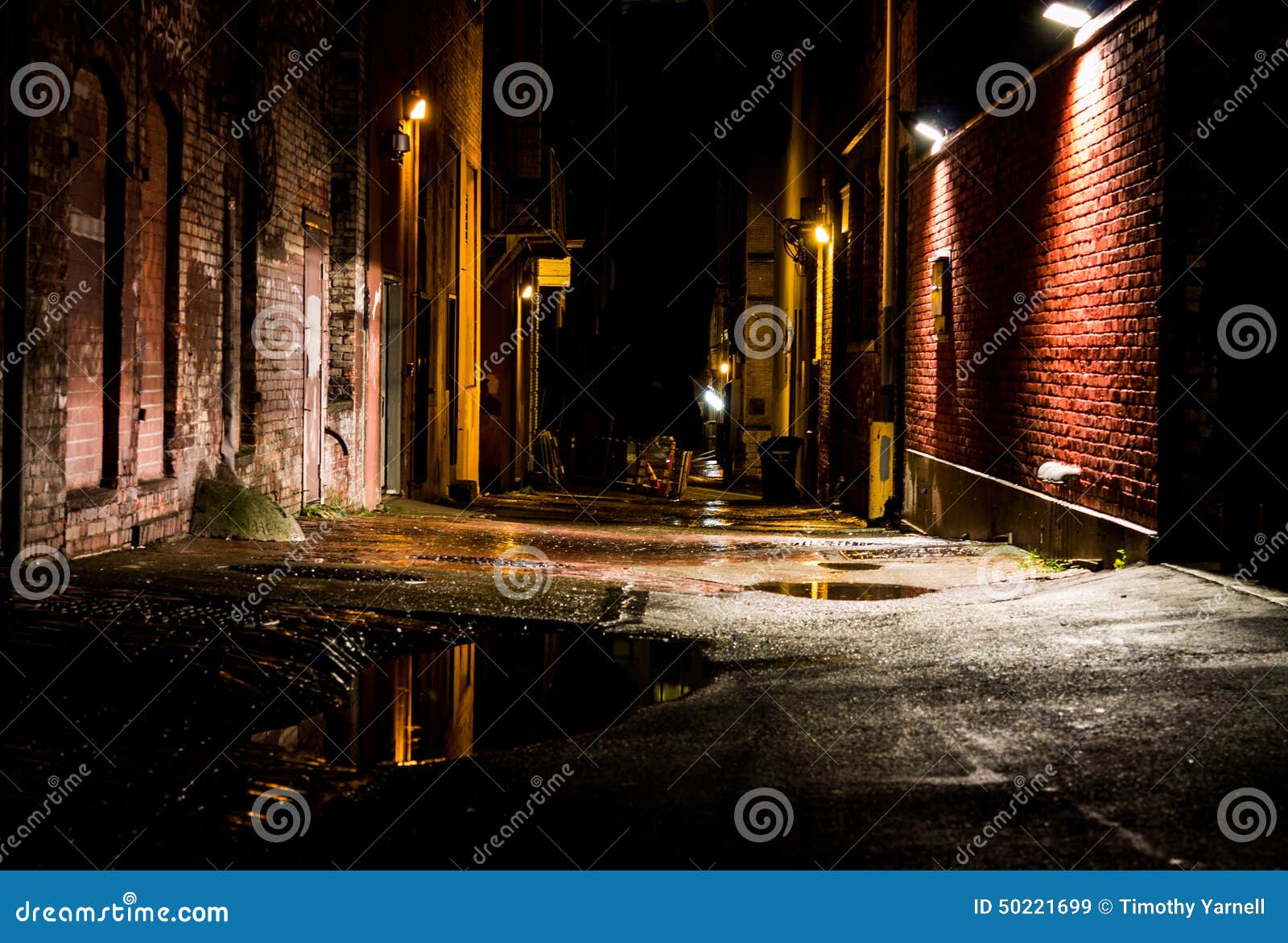Night Alley WA stock image. Image of puddle, water, seattle - 50221699