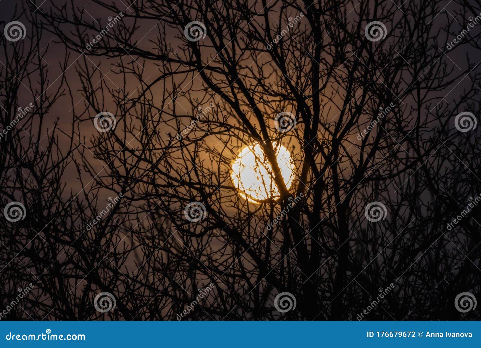Night Big Moon in the Twilight Sky with Beautiful Lighting. the ...