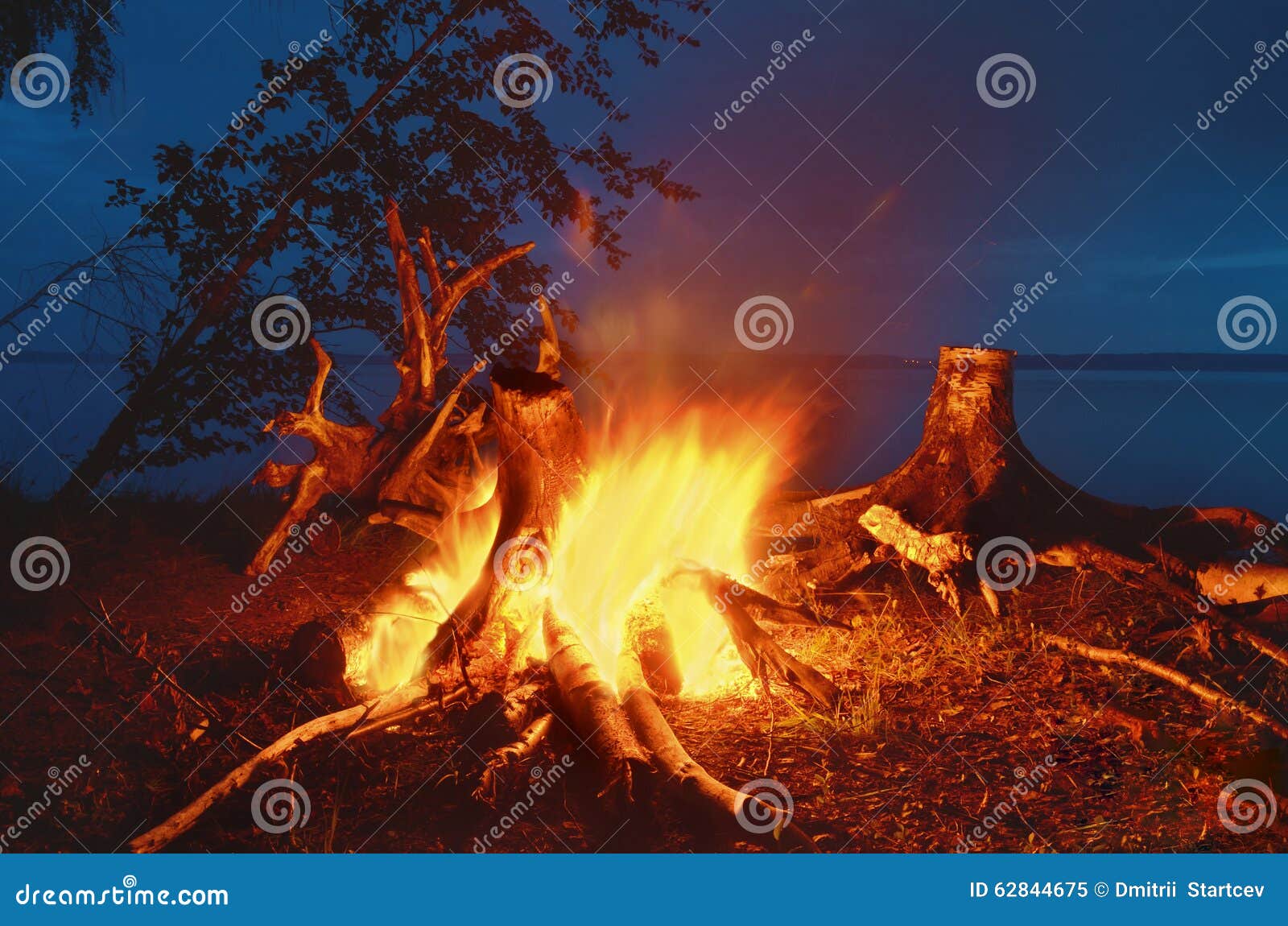 Night bonfire on the river stock image. Image of dusk - 62844675