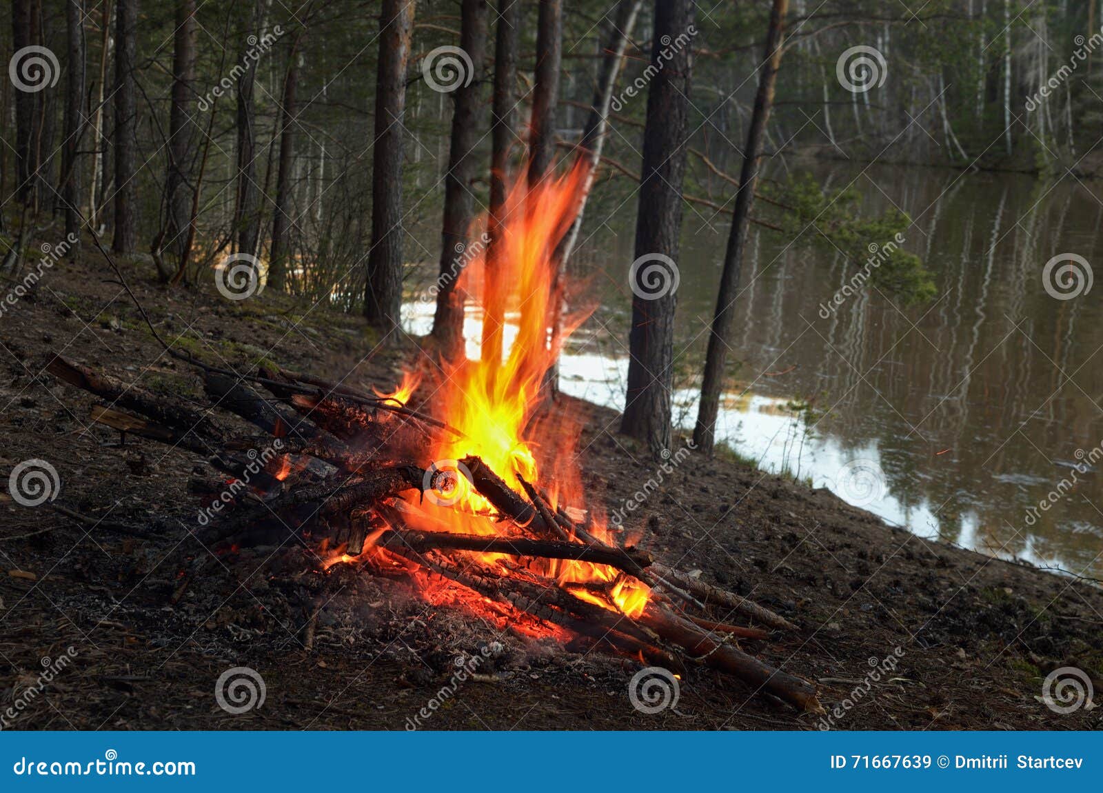 Night bonfire on the river stock image. Image of glowing - 71667639
