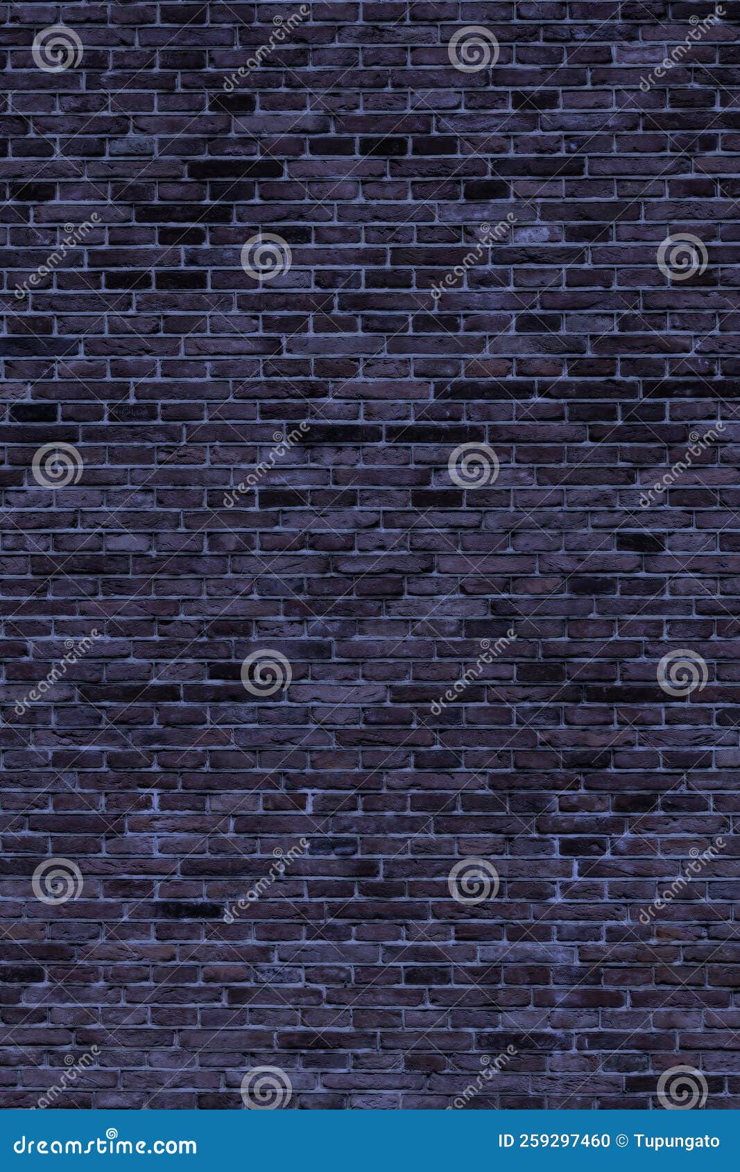 Night brick wall texture stock photo. Image of wall - 259297460