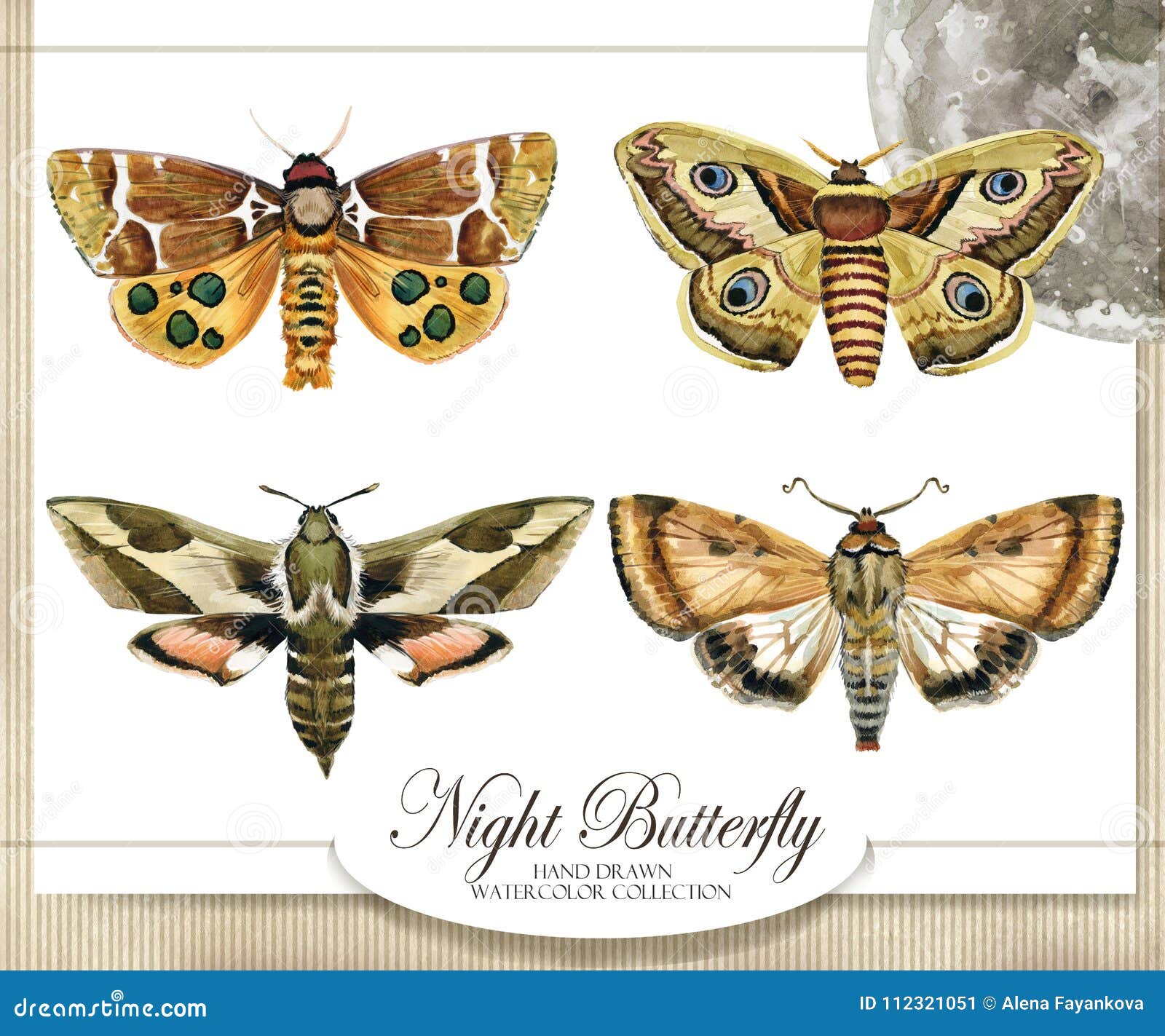 Night Butterfly. Vector Drawing Icon | CartoonDealer.com #175797555