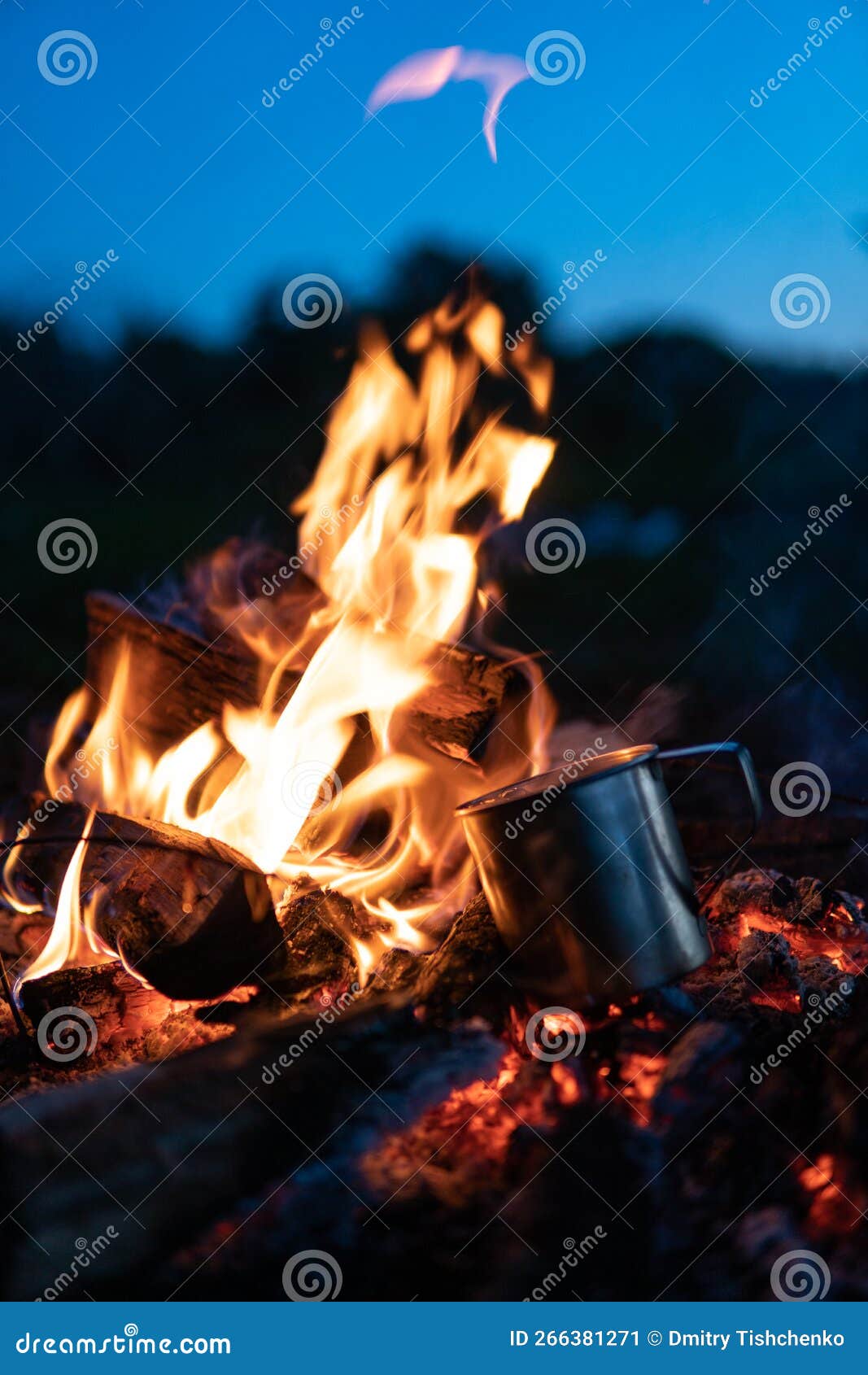 Night Campfire in the Winter Forest. Sparks from Fire Stock Image ...