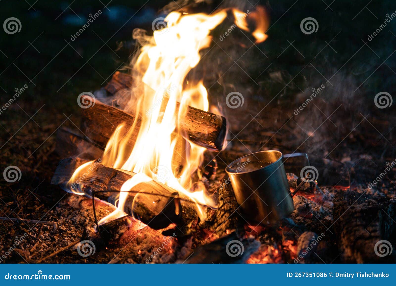 Night Campfire in the Winter Forest. Sparks from Fire Stock Photo ...