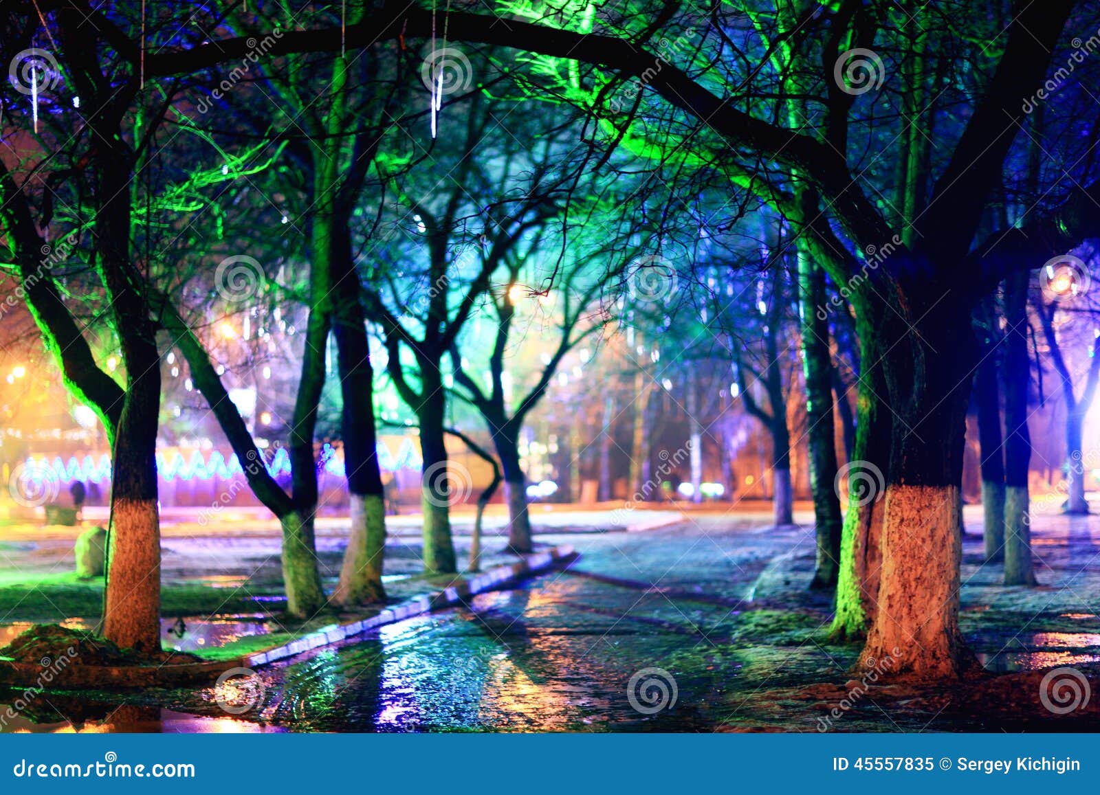 Night city park lights stock image. Image of christmas - 45557835