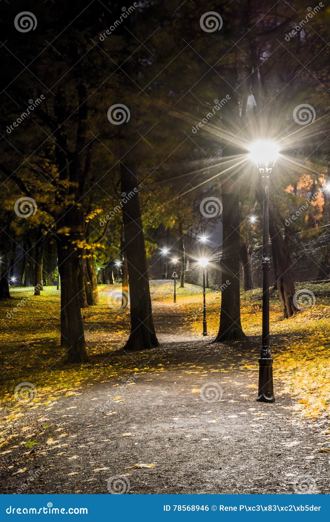 Night in city park stock photo. Image of green, path - 78568946