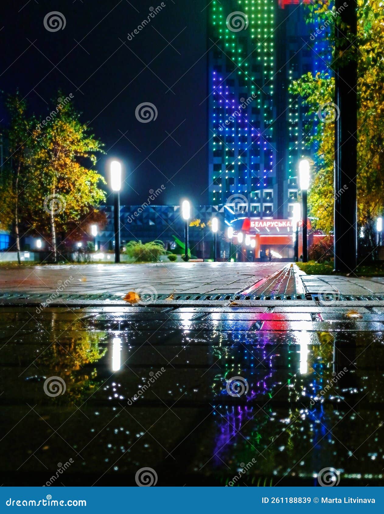 Night City Street and the Reflection in the Puddle Editorial Stock ...