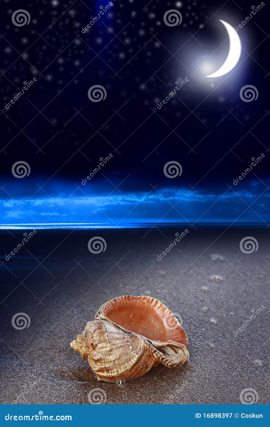 Night on the coast stock image. Image of clear, night - 16898397