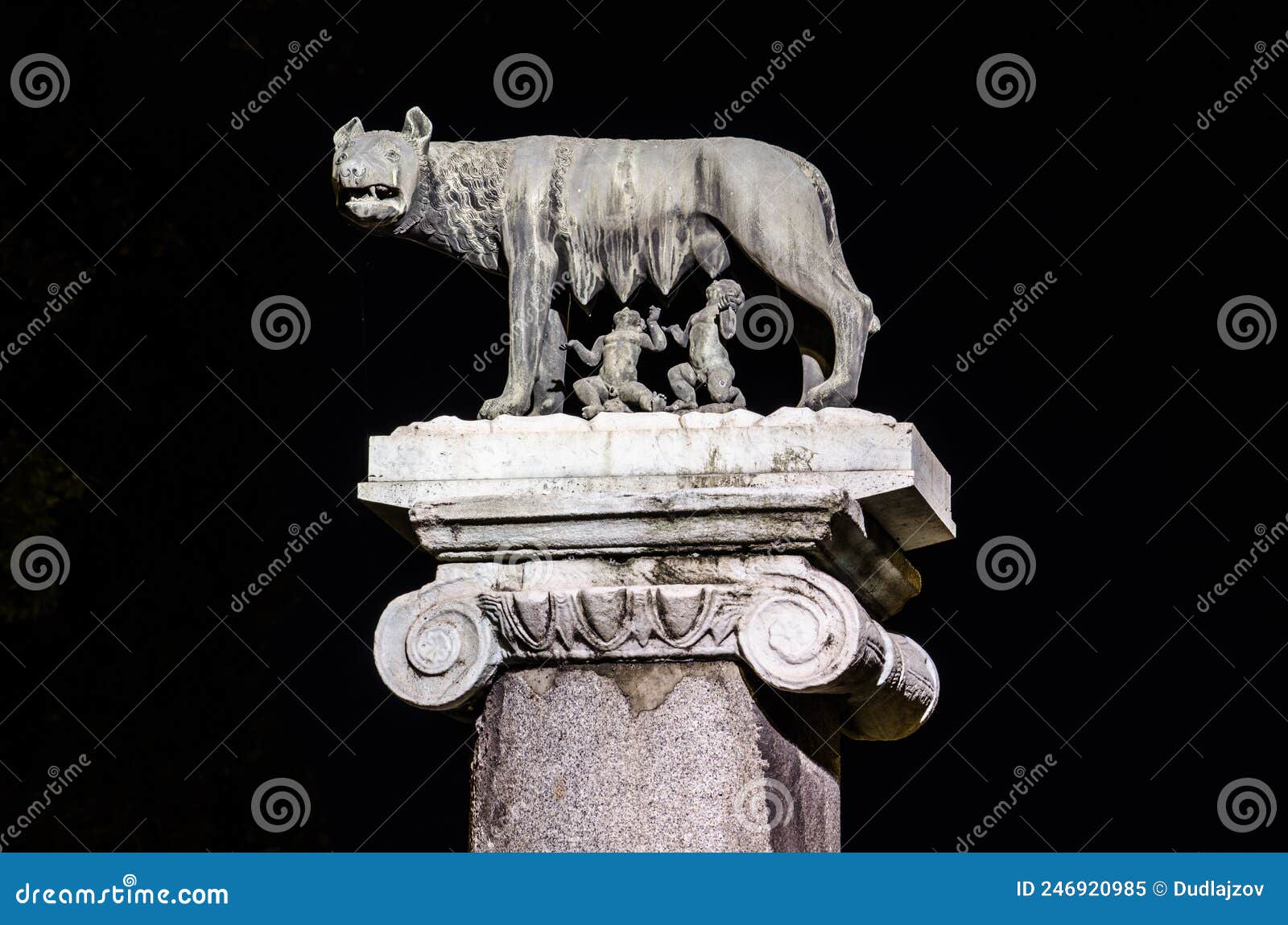 Night Detail of Symbol of Rome: she-wolf Breastfeeding Romulus and ...