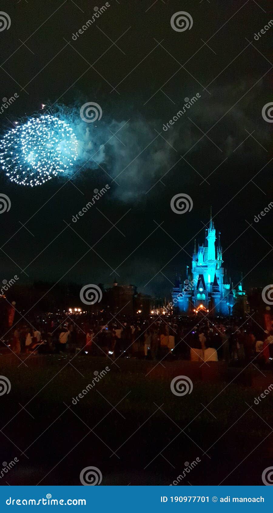 Disney Fireworks Editorial Photo | CartoonDealer.com #24343511