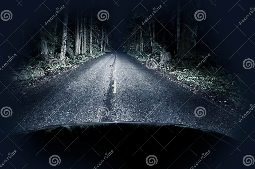 Night Driving Thru Forest stock photo. Image of straight - 28672096 Night Driving Thru Forest stock photo. Image of straight - 28672096