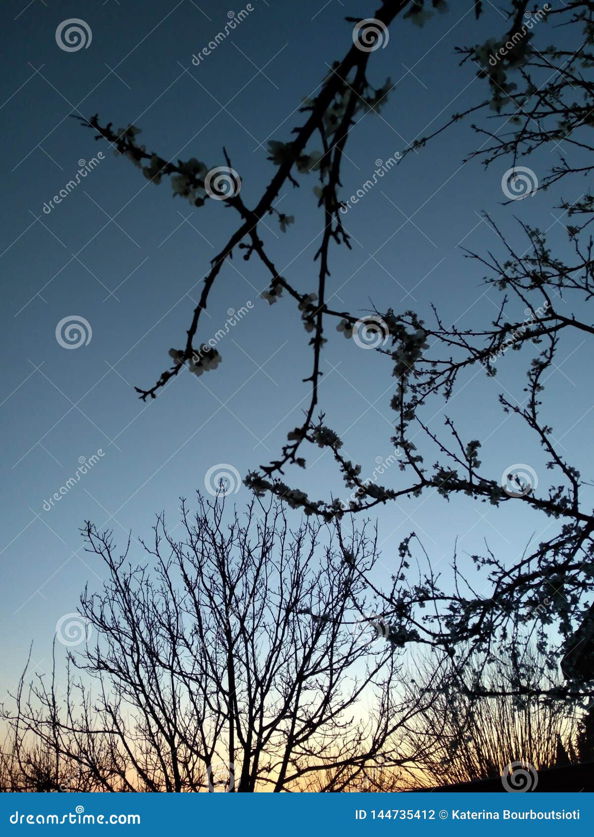 Night fall stock photo. Image of fall, beauty, sunset - 144735412