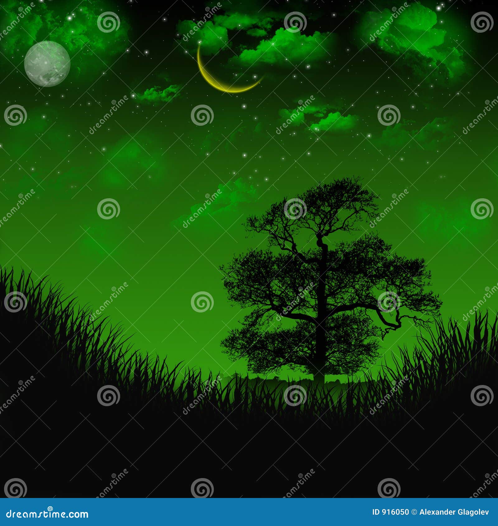 Night field stock illustration. Illustration of moon, black - 916050