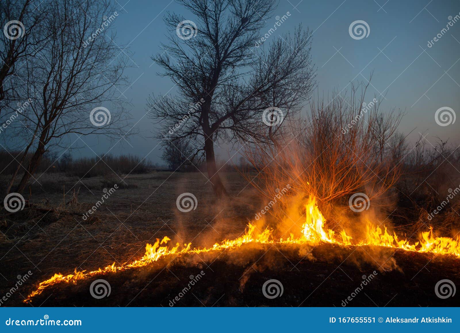 Field fire night stock image. Image of flame, stump - 167655551