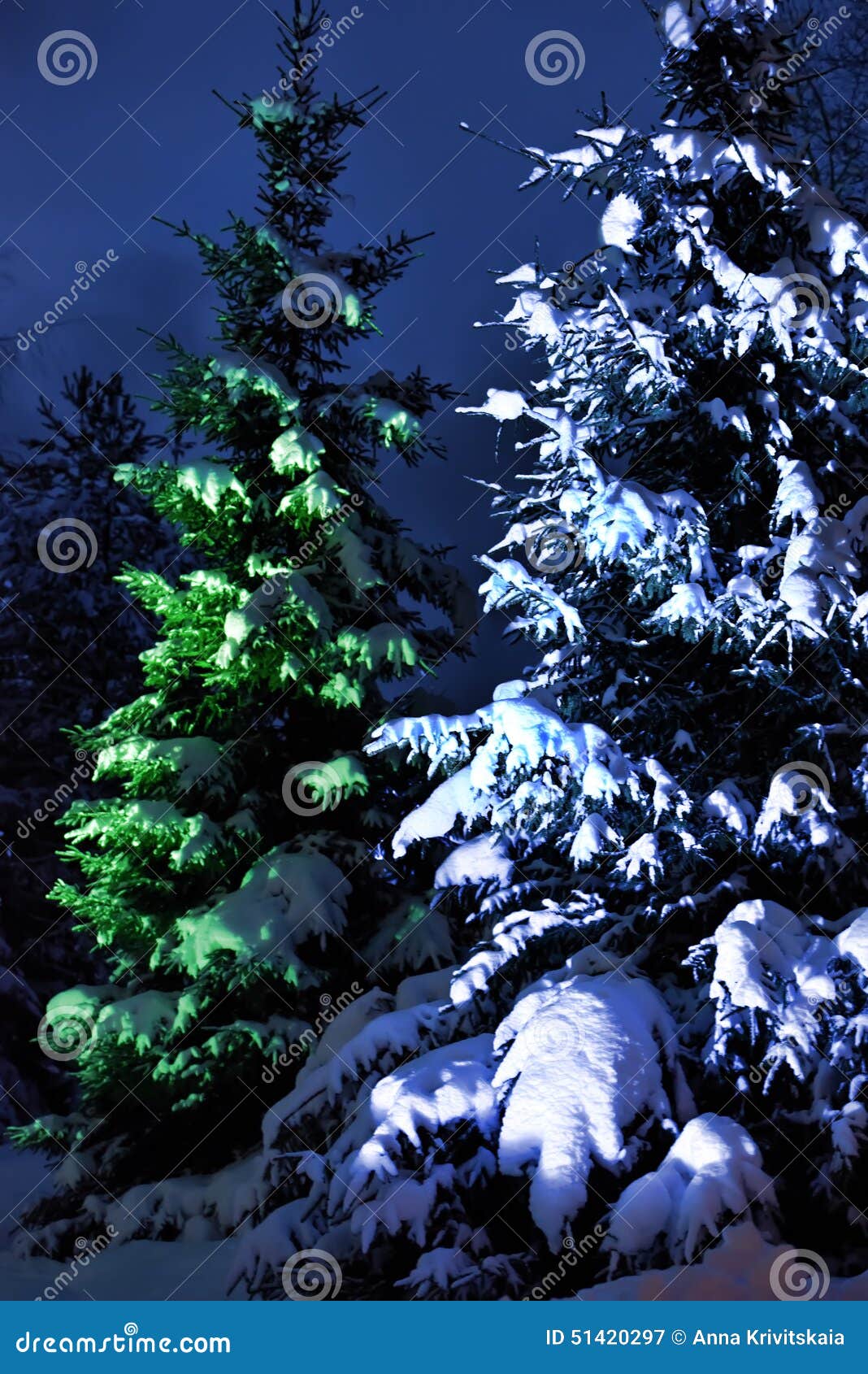 Night Fir-tree stock image. Image of park, design, fluffy - 51420297