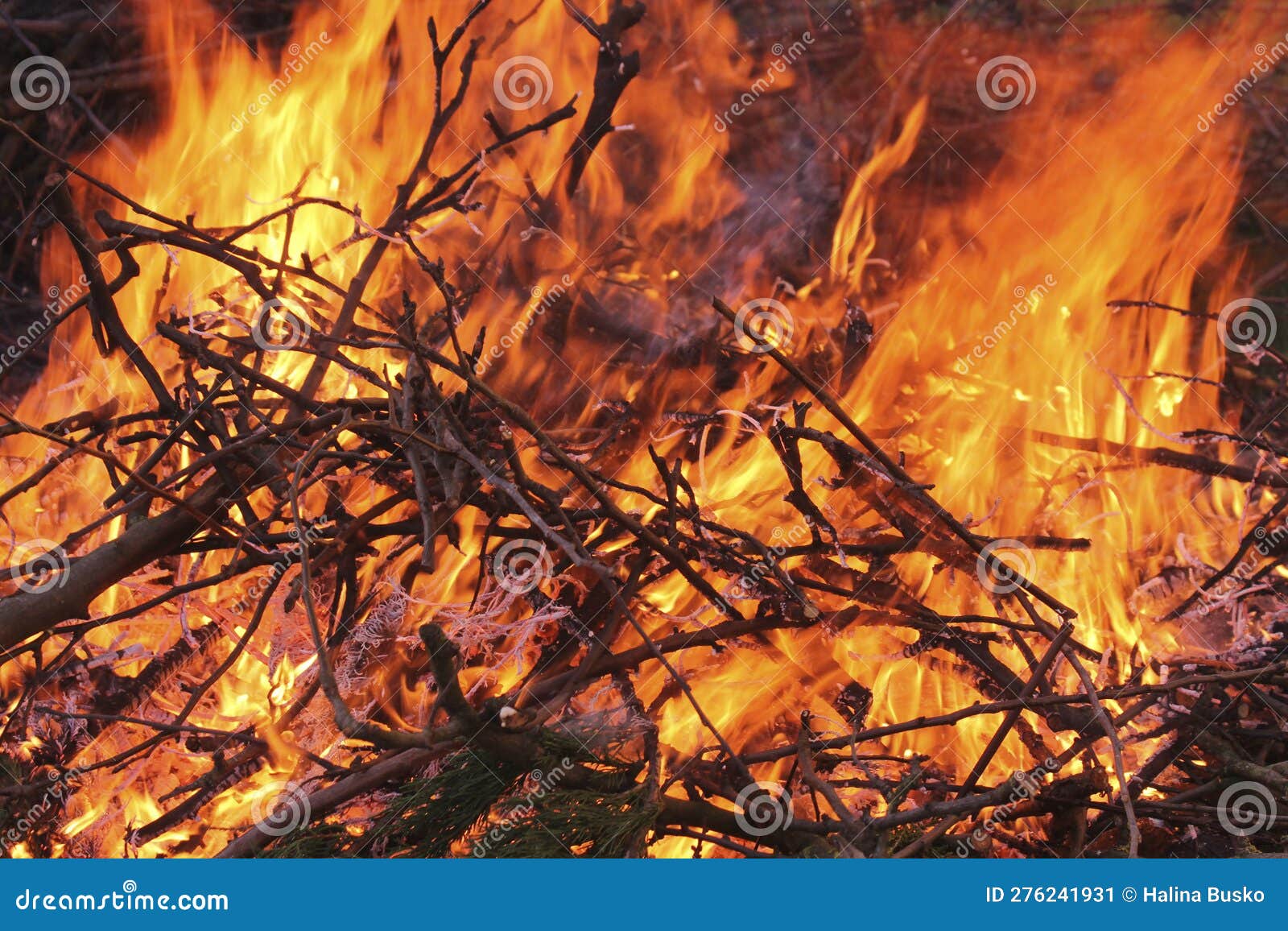 Night Fire. Branches Burn in Flames Stock Image - Image of blaze, tree ...