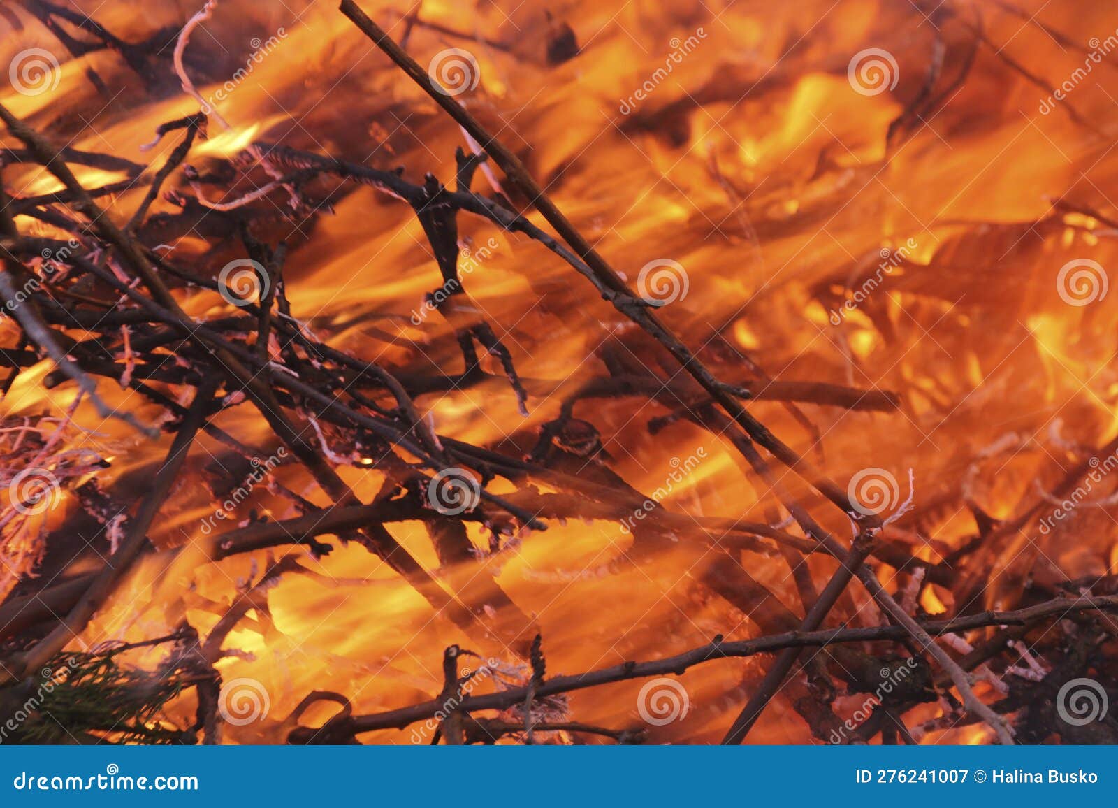 Night Fire. Branches Burn in Flames Stock Image - Image of flames, tree ...