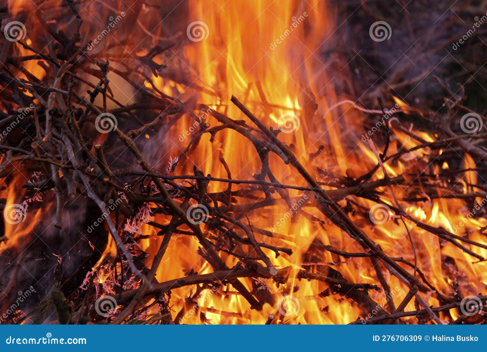 Night Fire. Branches Burn in Flames Stock Image - Image of forest ...