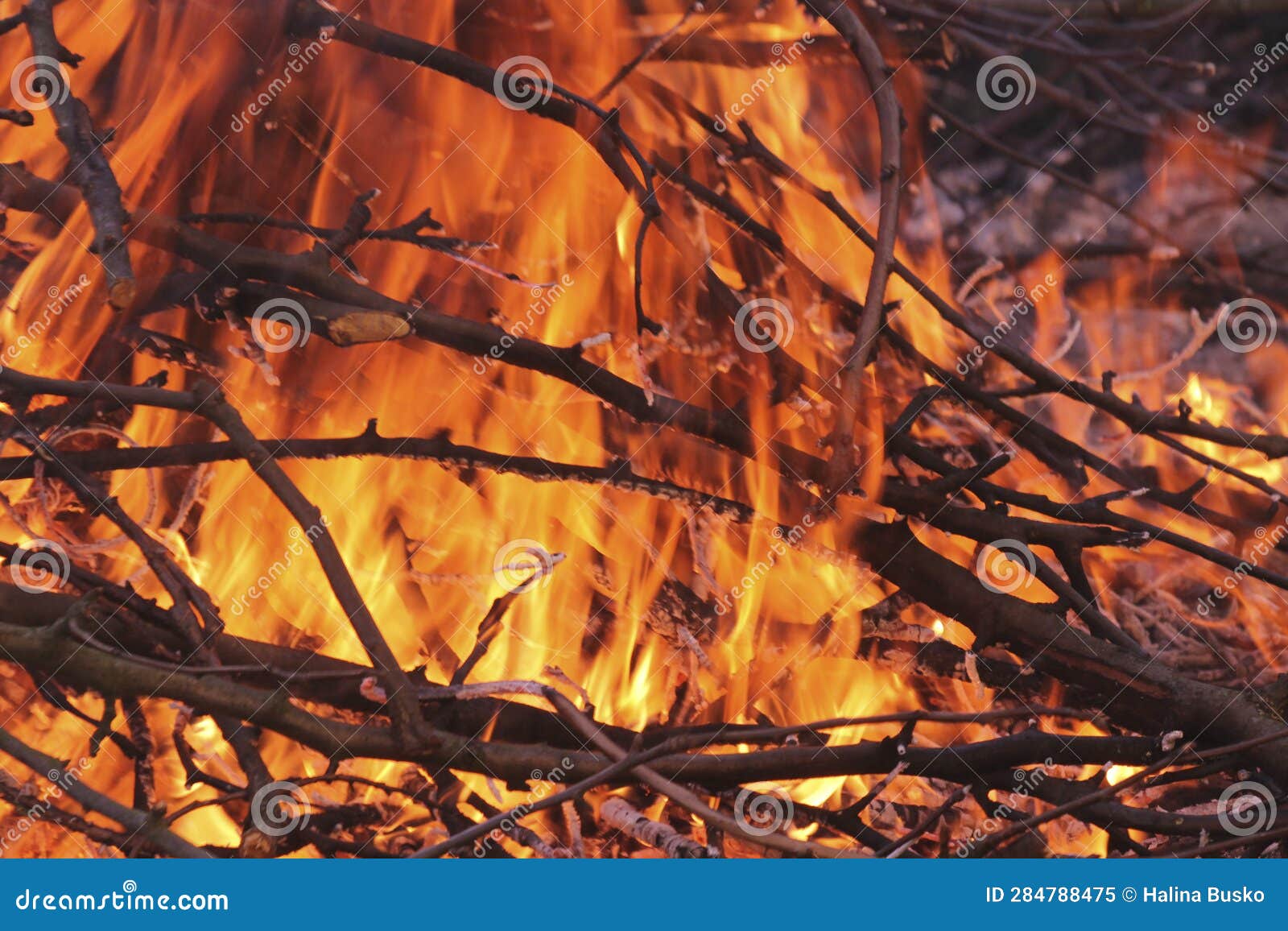 Night Fire. Branches Burn in Flames Stock Image - Image of burning ...