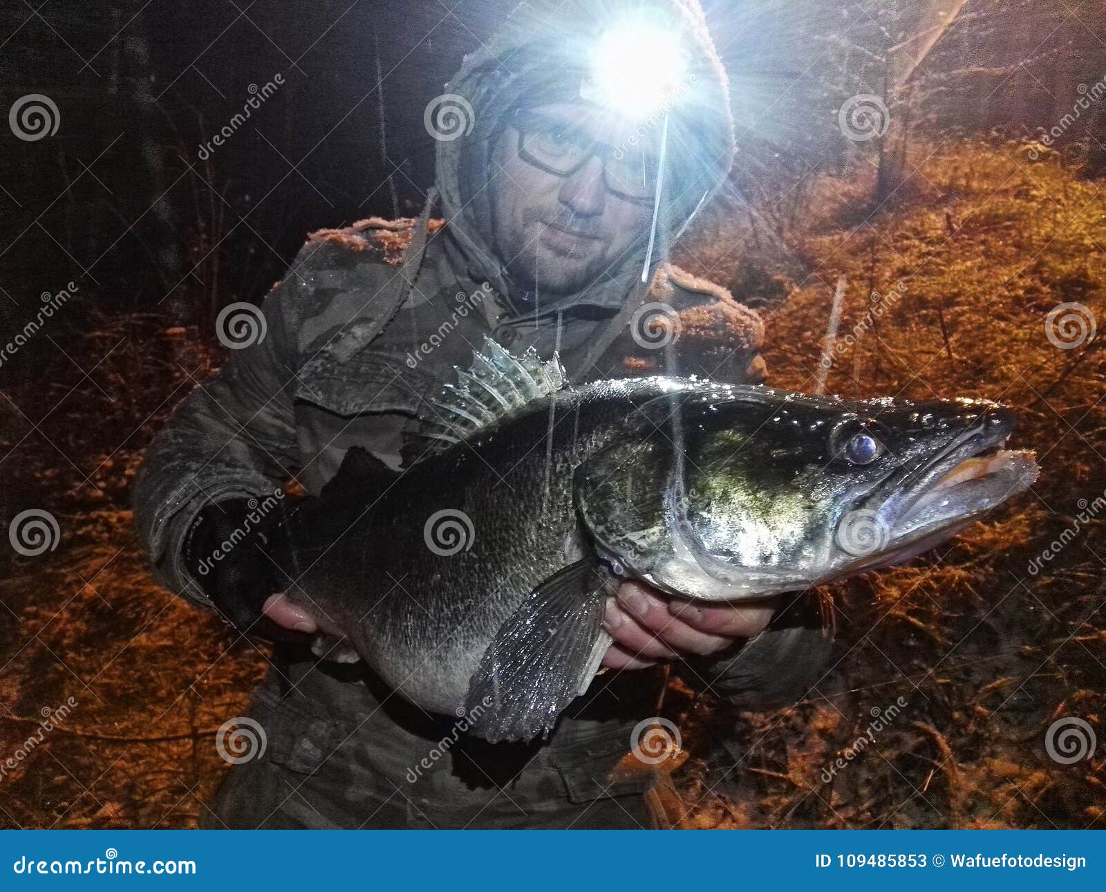 Night Fisher stock image. Image of night, catched, hobby - 109485853