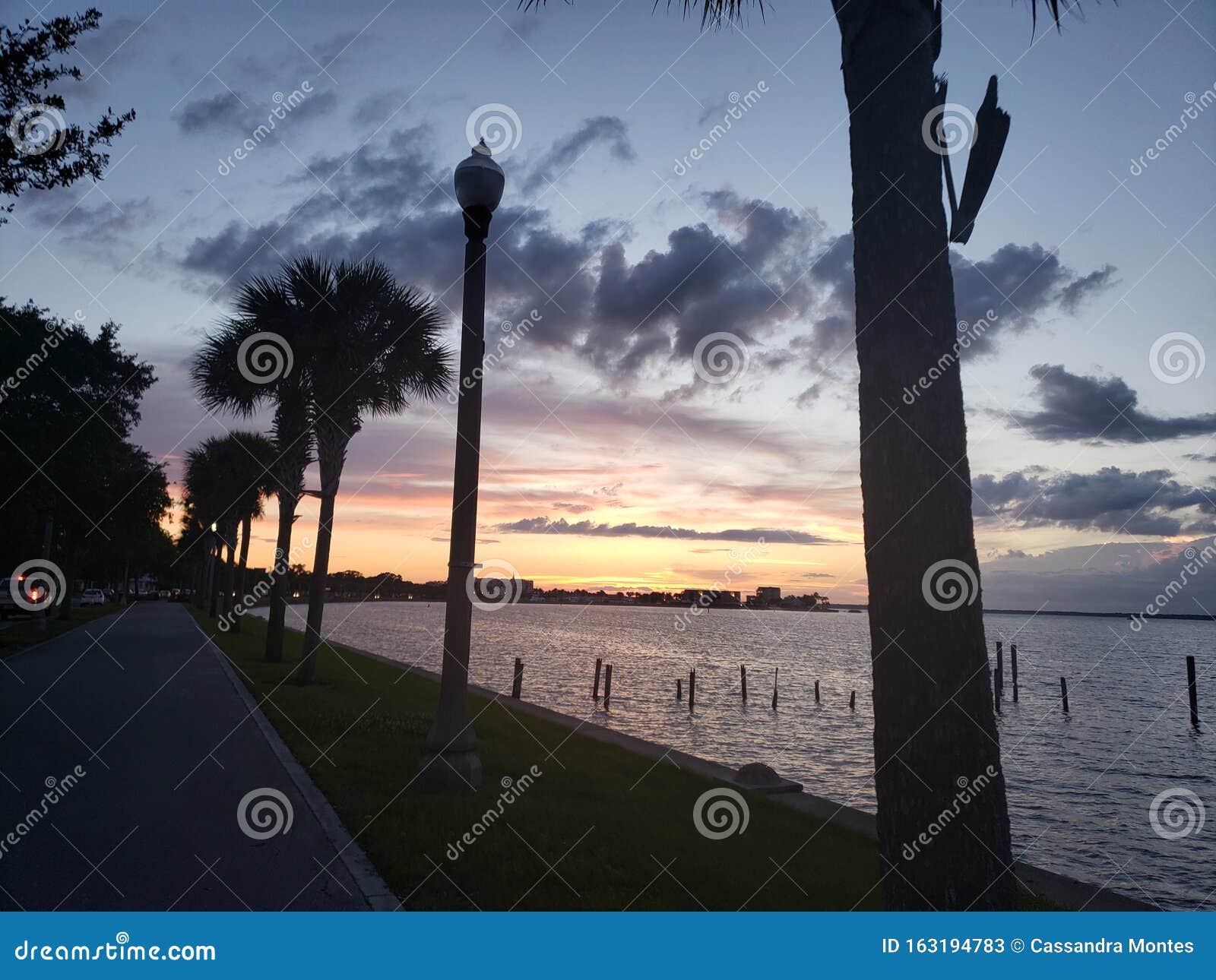 The night florida stock image. Image of skies, blue - 163194783