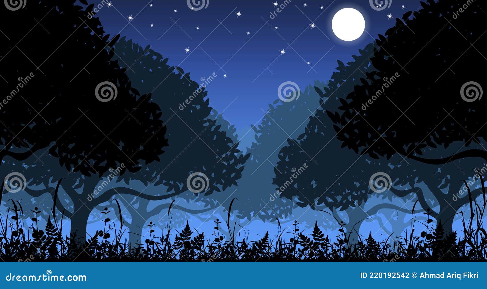 Night in the Forest, Beautiful Landscape, with Moon, Forest Silhouette ...