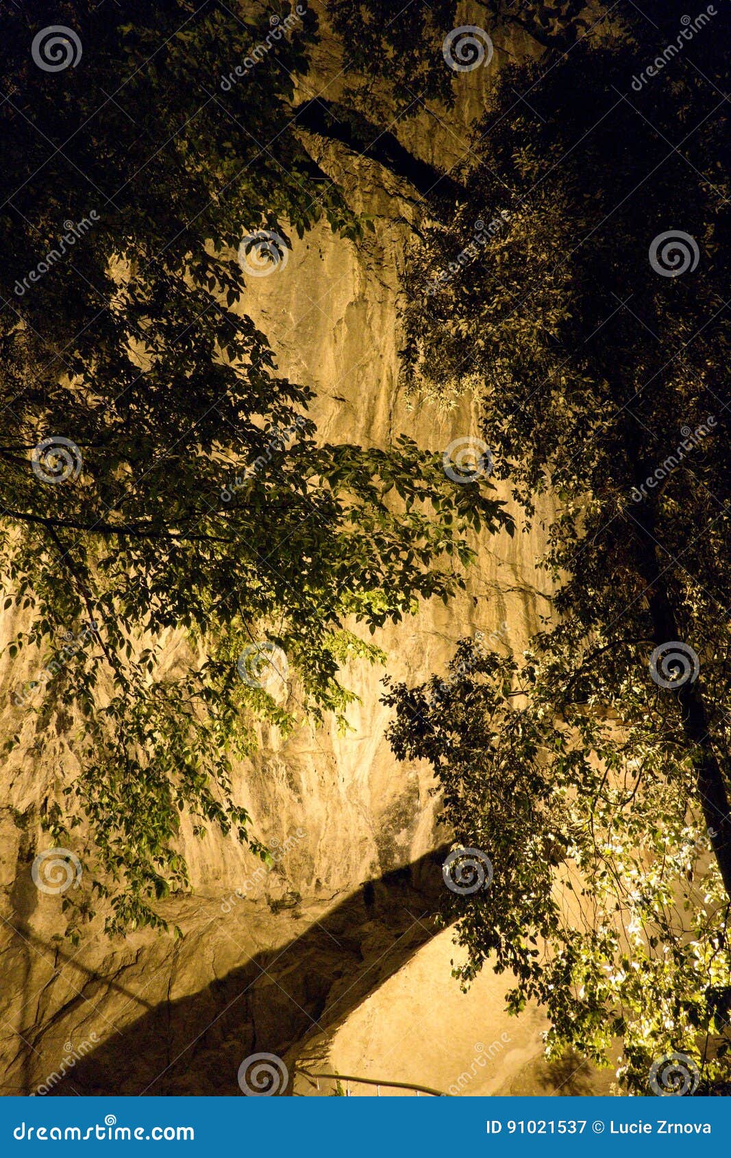 Night Forest with an Enlightened Rock Stock Image - Image of holiday ...