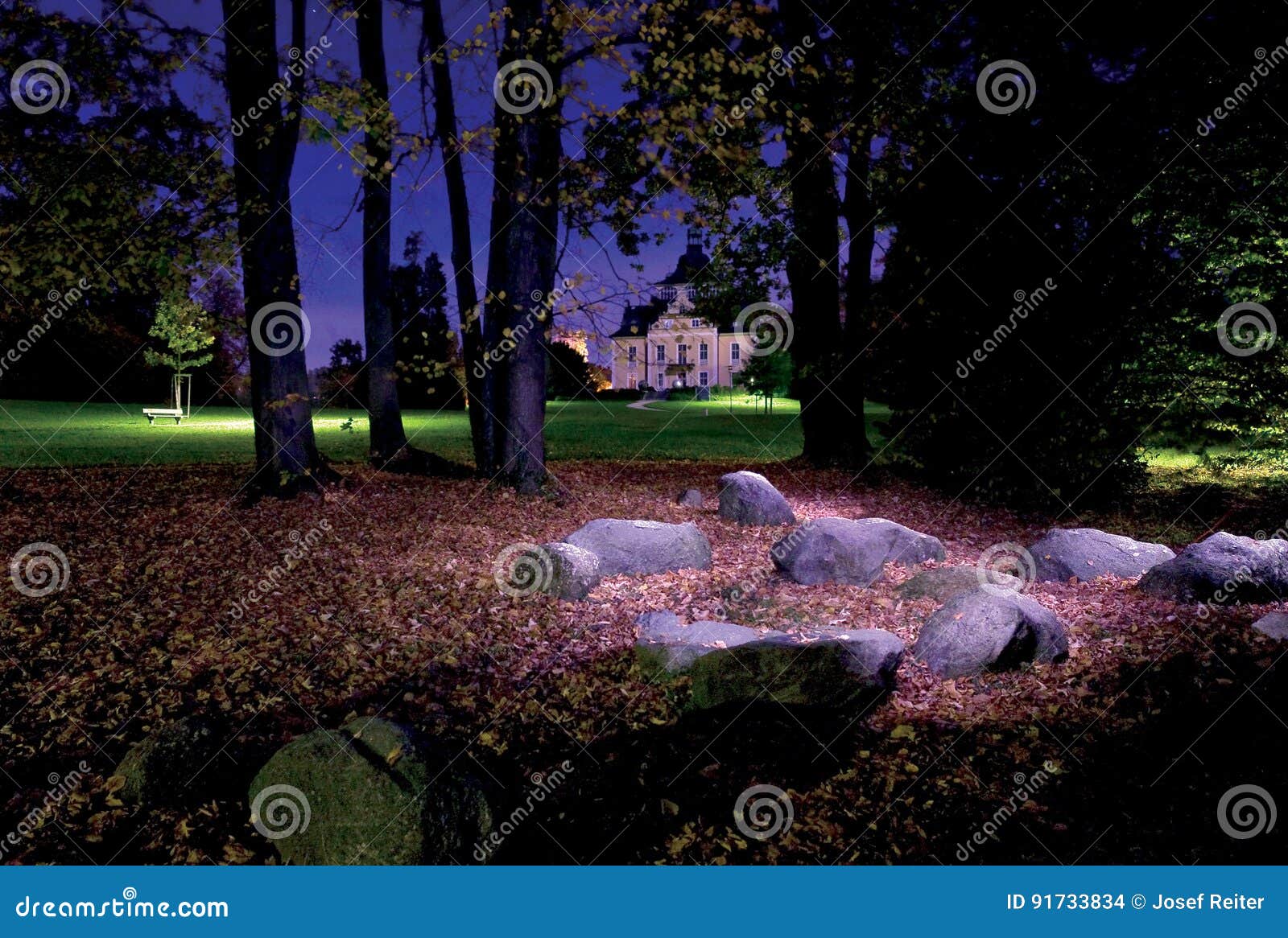 A Night in the Forest and on the Field Stock Photo - Image of tree ...