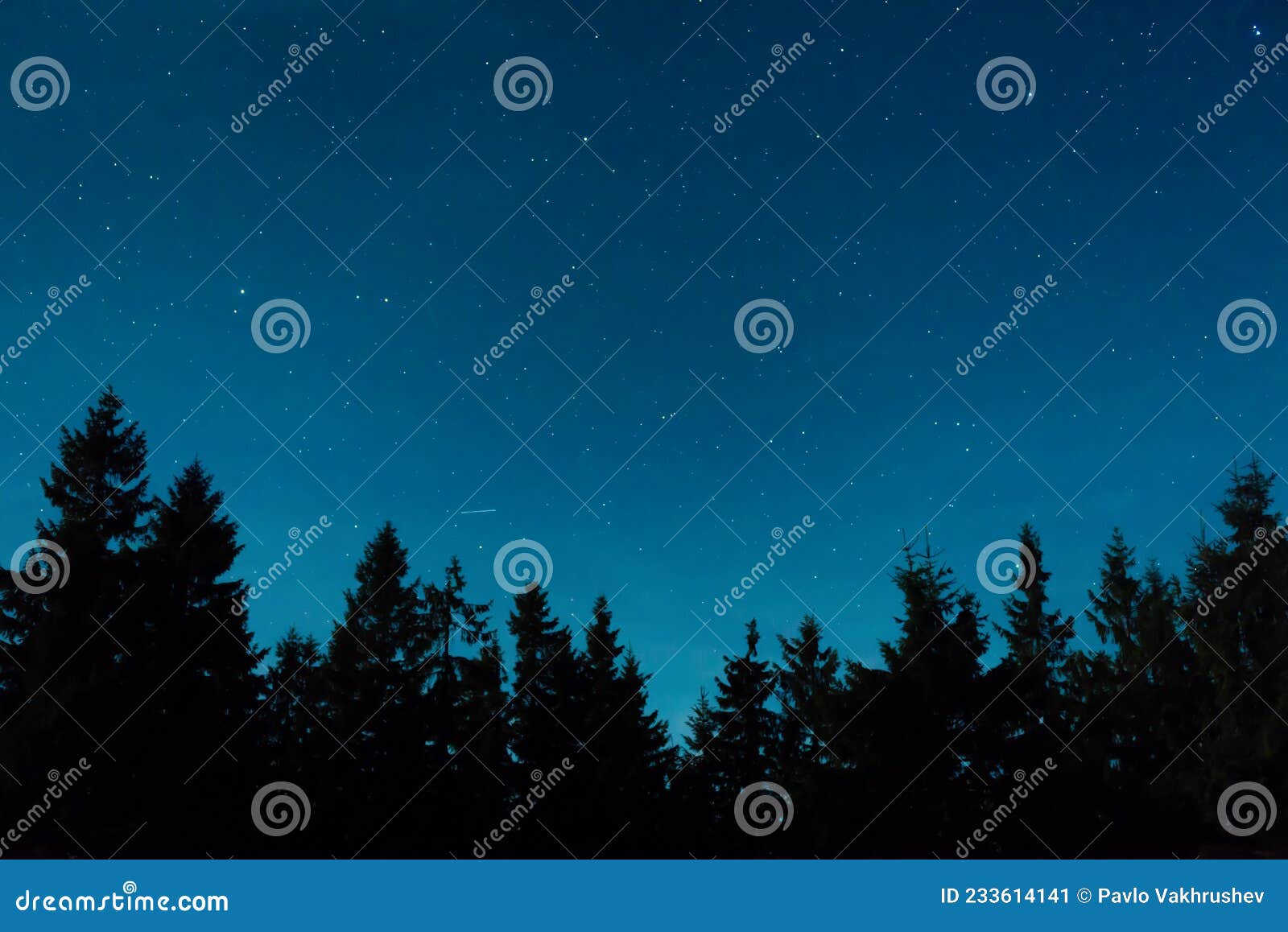 Night Forest with Pine Trees Stock Image - Image of beauty, cosmos ...