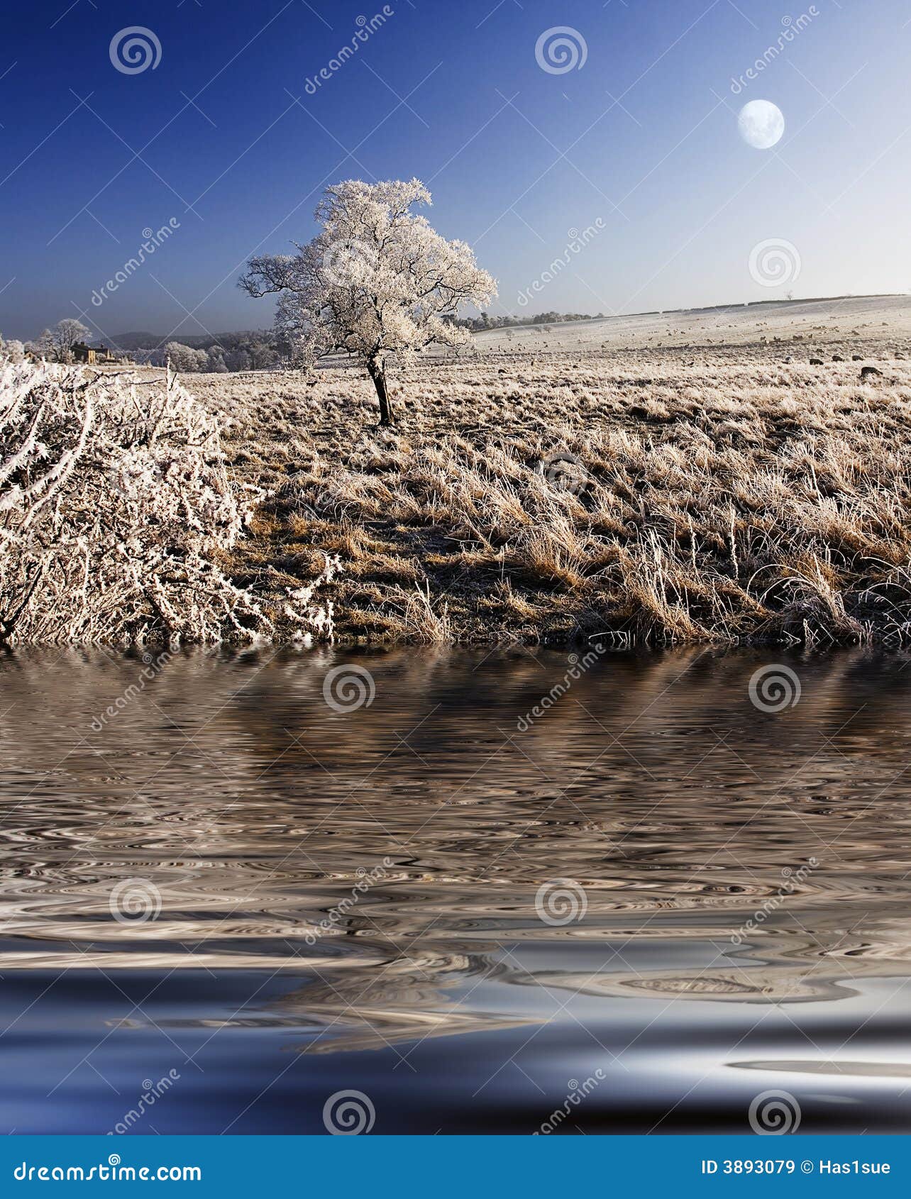 Night Frosts stock image. Image of frost, holiday, england - 3893079
