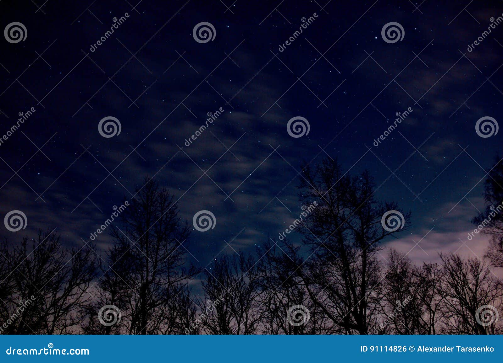 Night Full of Stars Behind the Trees Stock Photo - Image of relaxation ...
