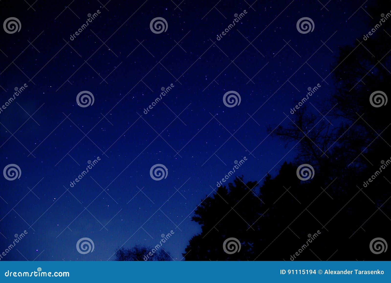 Night Full of Stars Behind the Trees Stock Photo - Image of starlight ...