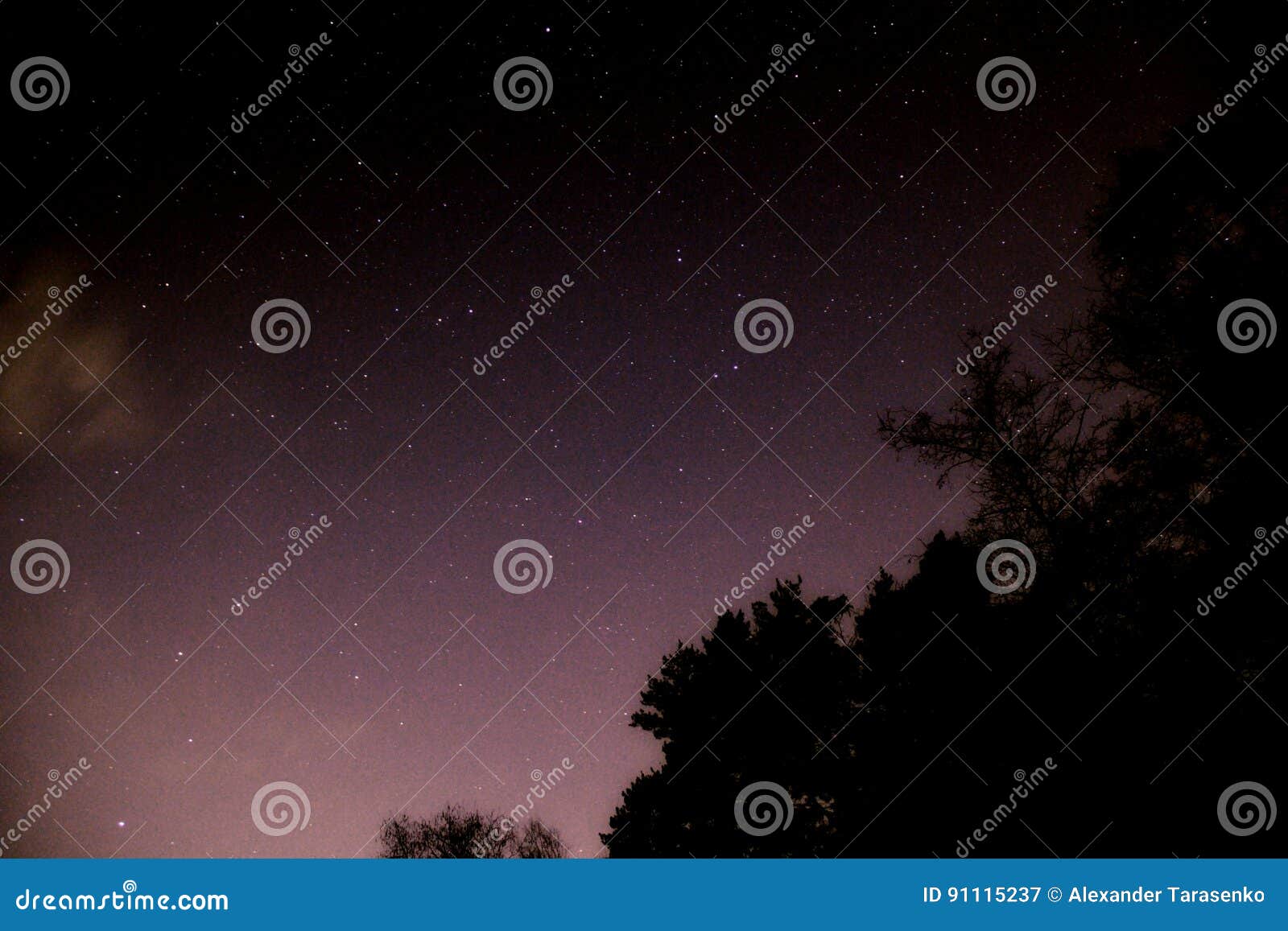 Night Full of Stars Behind the Trees Stock Image - Image of space ...